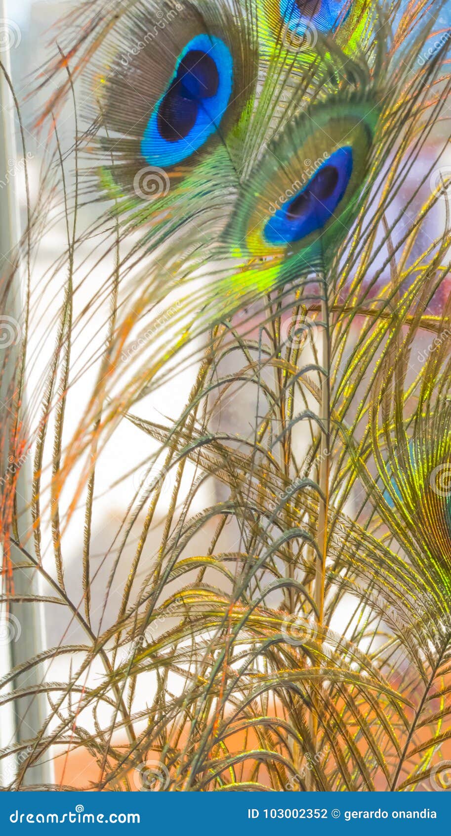 Various Intertwined and Diverse Sets Stock Photo - Image of farming ...