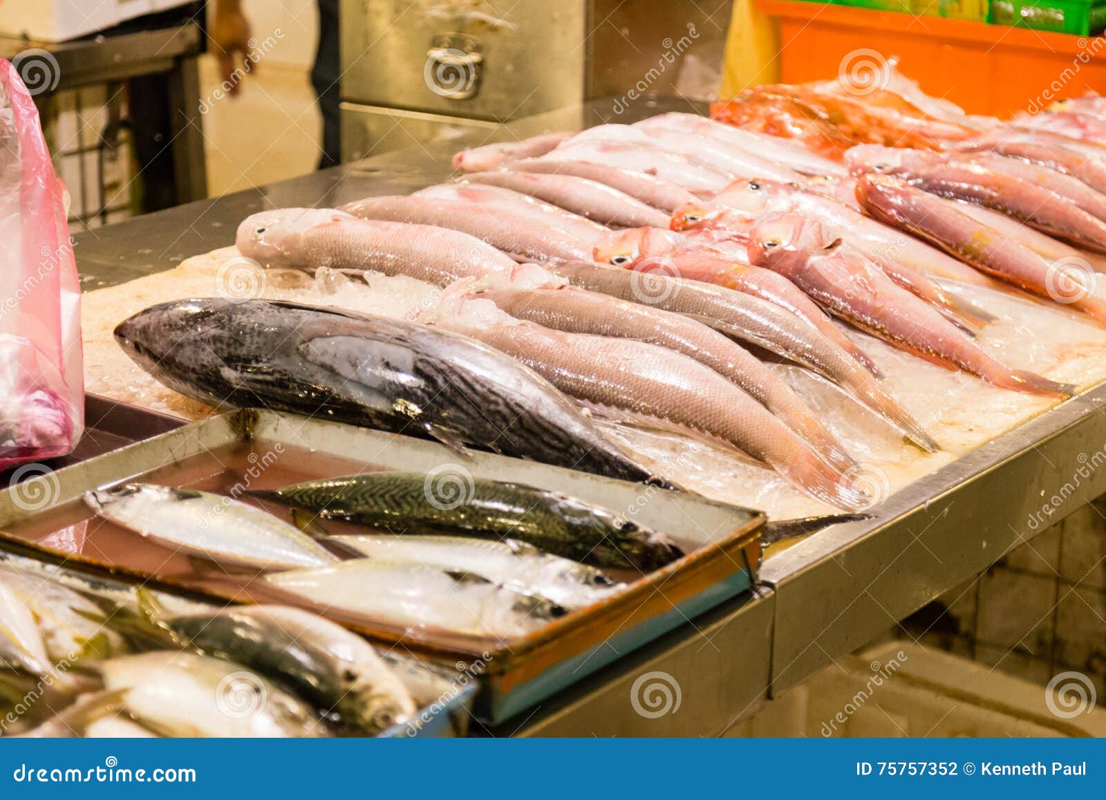 Various Kind of Fish at Fish Market Stock Photo - Image of markets ...