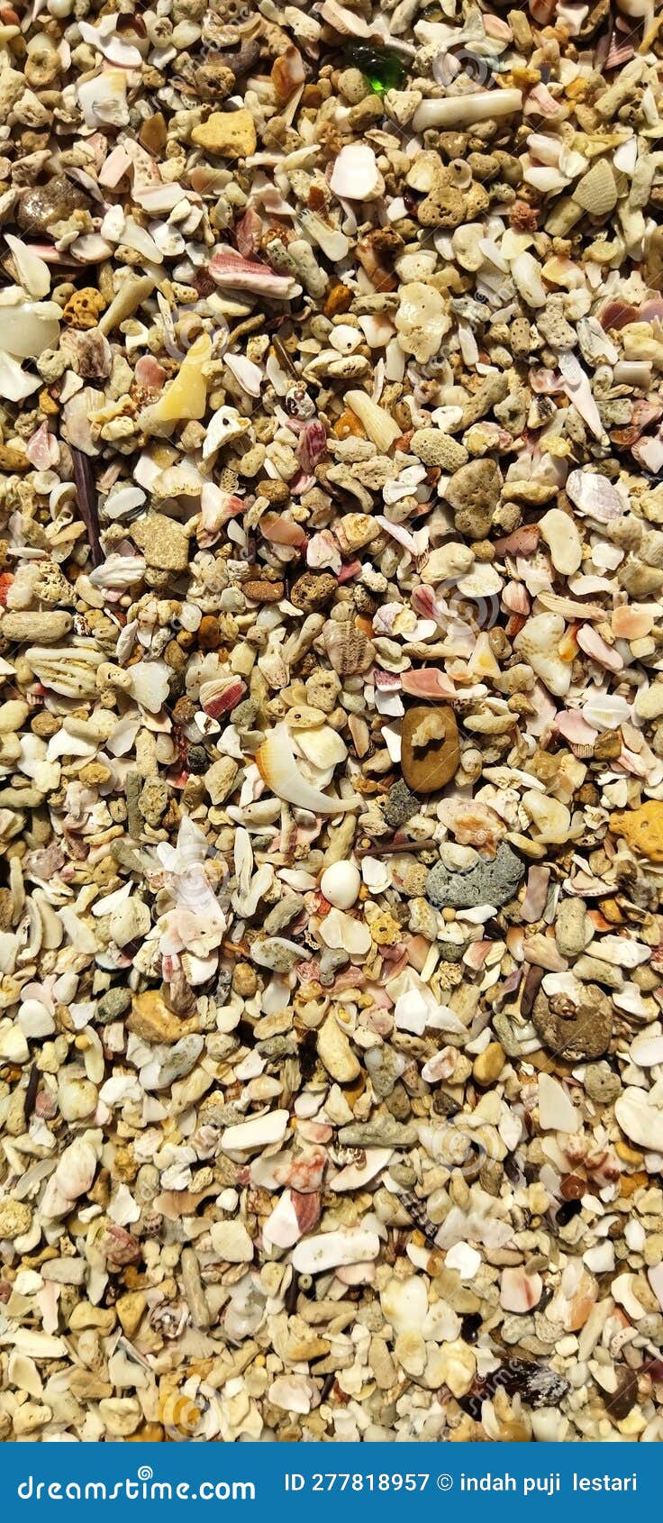 Various Kinds of Beautiful Beach Pebbles? Stock Image - Image of kinds ...