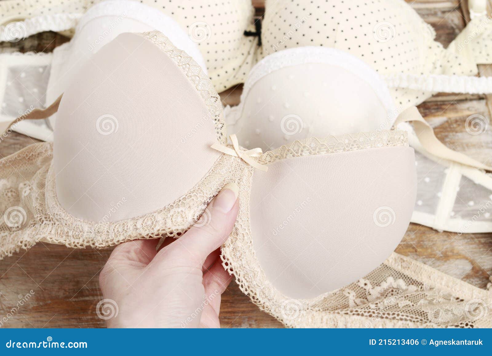 Various kinds of bras stock photo. Image of fitting - 215213406