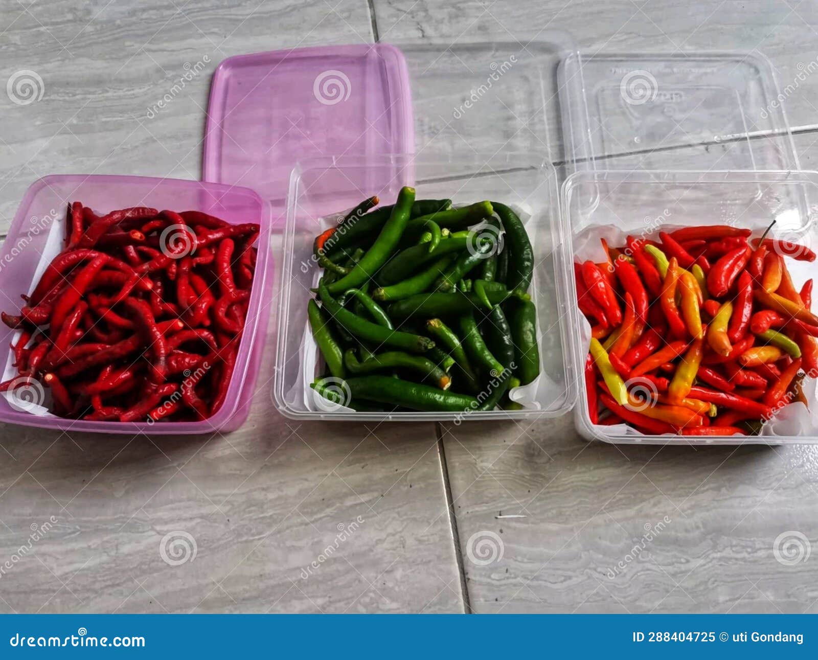 Various Kinds of Chili Stored in Plastic Box Stock Image - Image of ...
