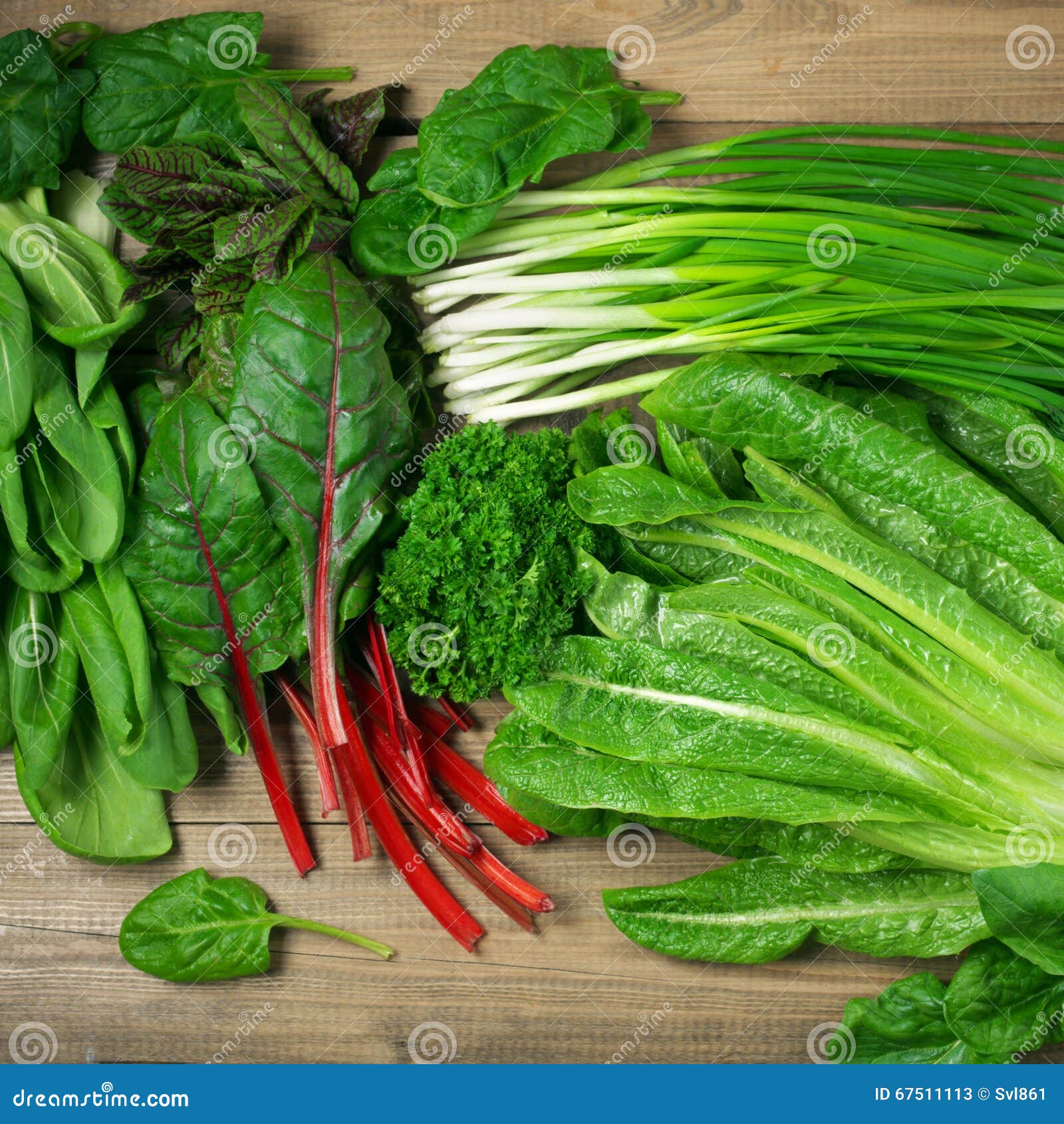 Various leafy vegetables stock image. Image of leaf, farming - 67511113