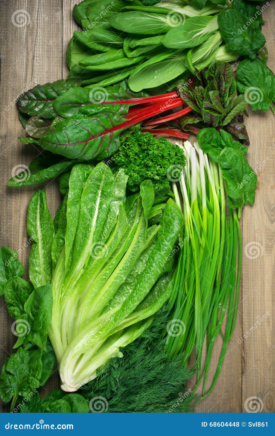 Various leafy vegetables stock photo. Image of agriculture - 68604448