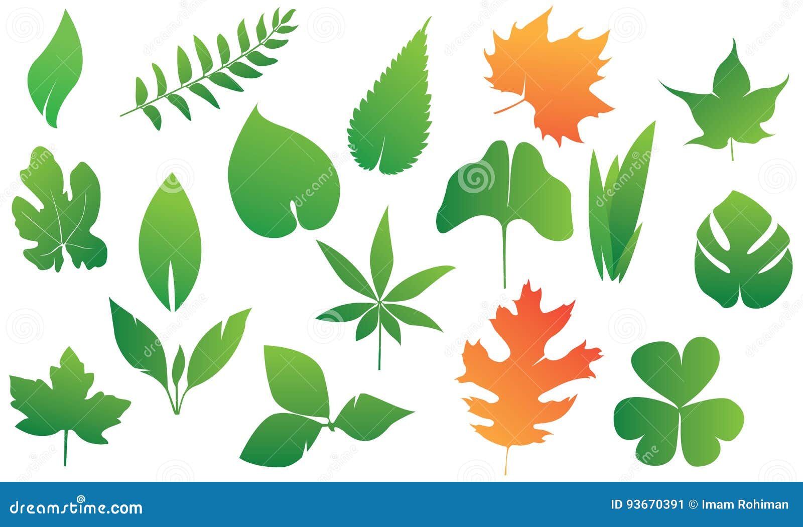 Set Of Various Leaves, Cdr Vector | CartoonDealer.com #20524321