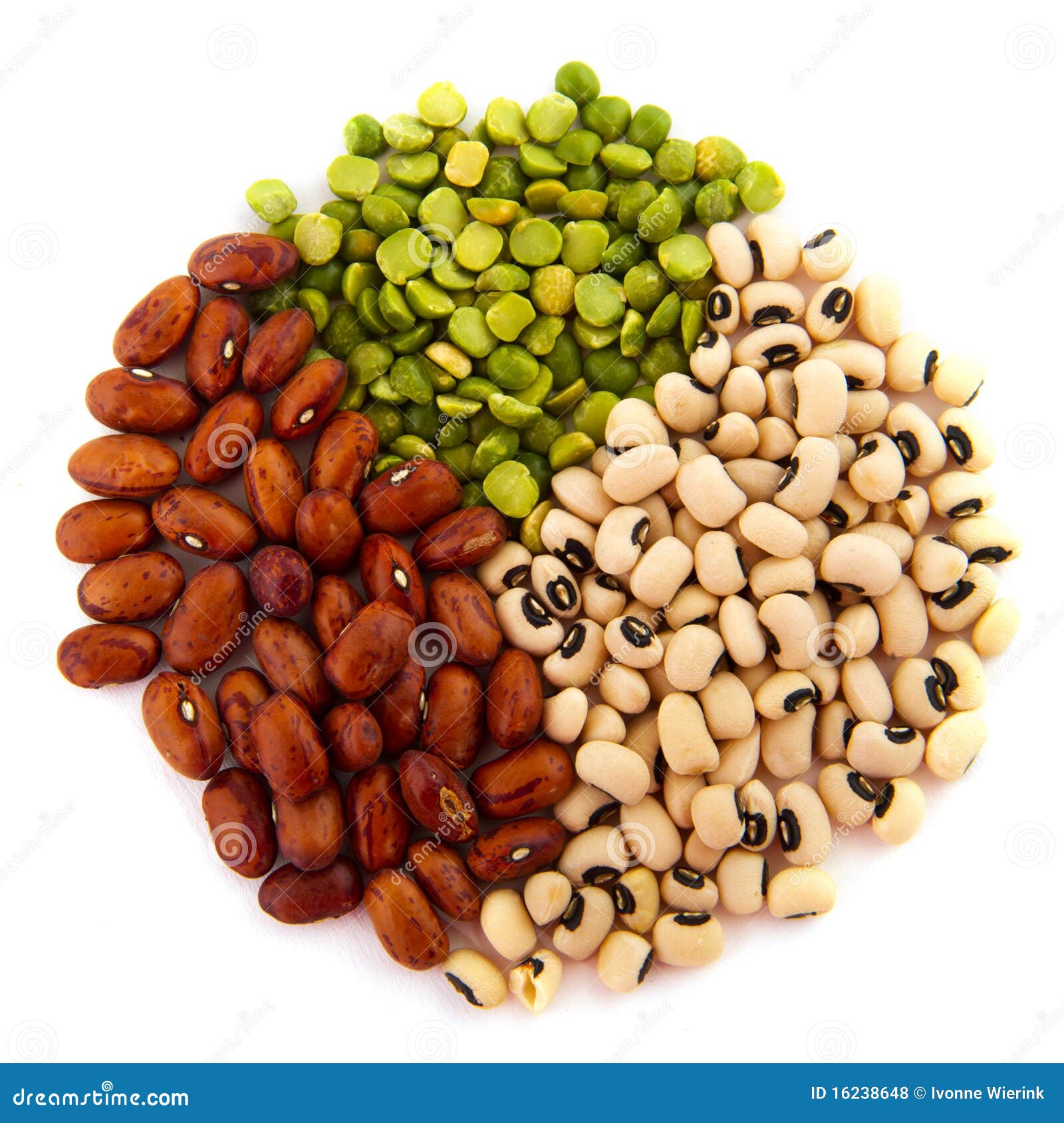 Various legumes stock photo. Image of white, beans, round - 16238648