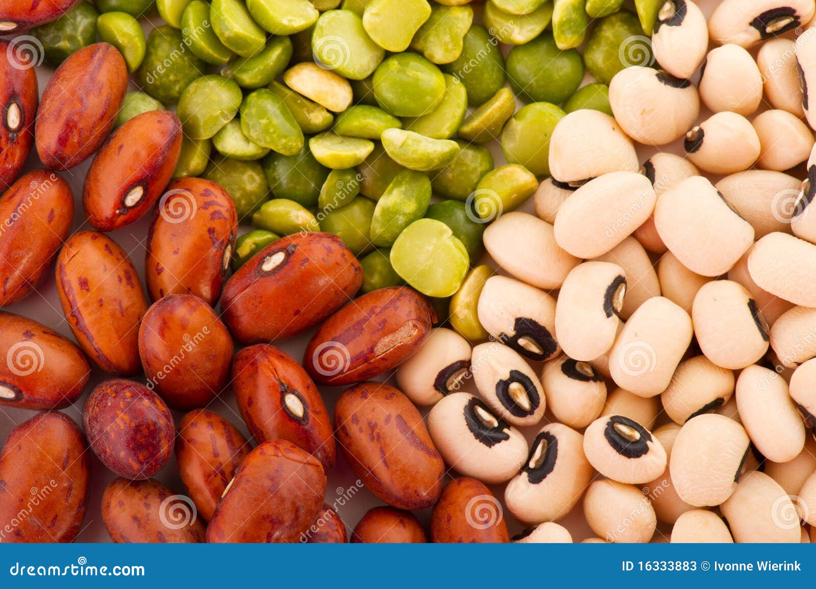 Various legumes stock image. Image of beans, three, diversity - 16333883