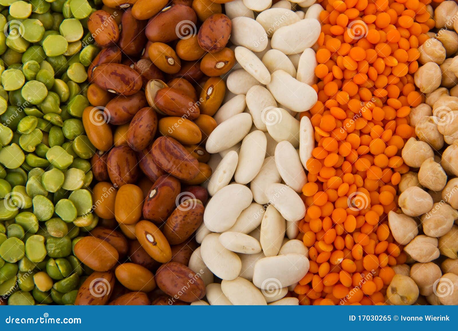 Various legumes stock image. Image of pinto, sorted, legumes - 17030265