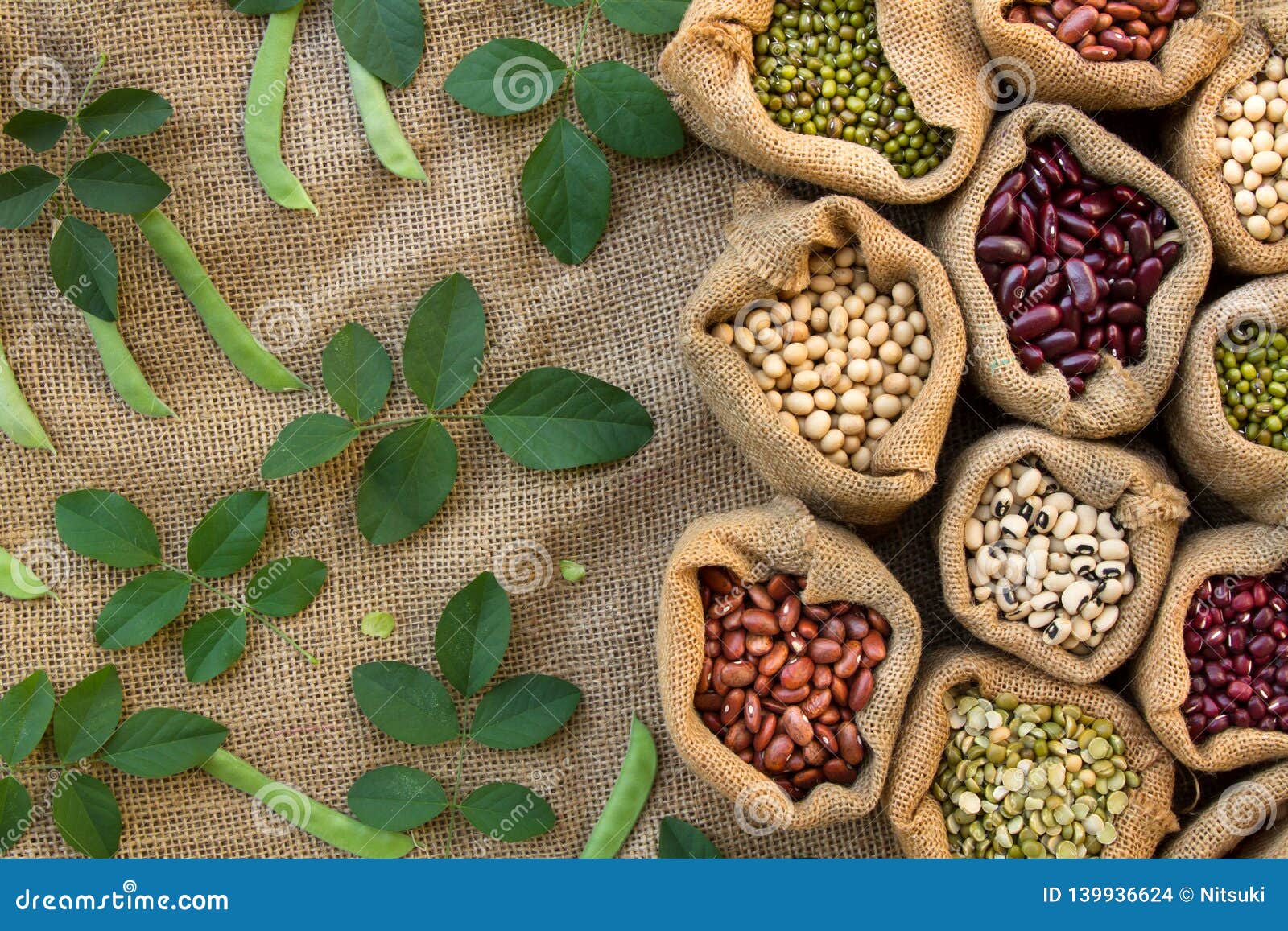 Various of Legumes Bean Seeds with Pea Leaf Background Stock Photo ...