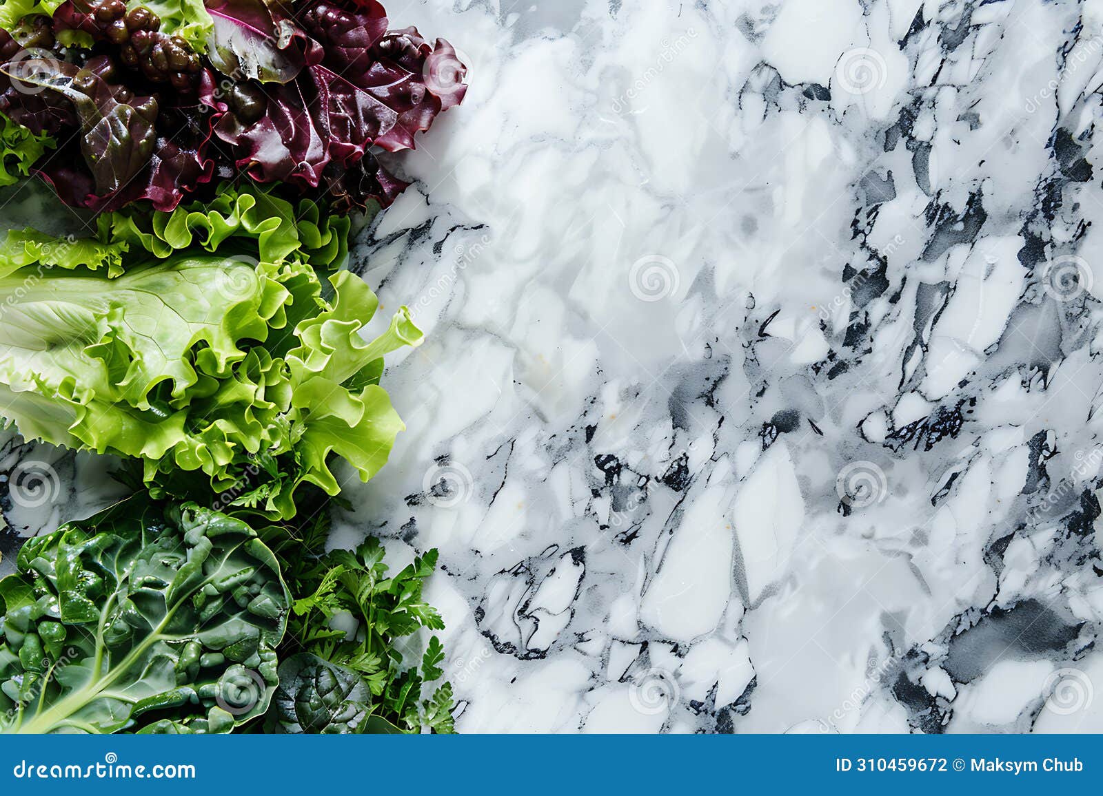 Various Lettuce Leaves Displayed on Marble Surface Stock Photo - Image ...