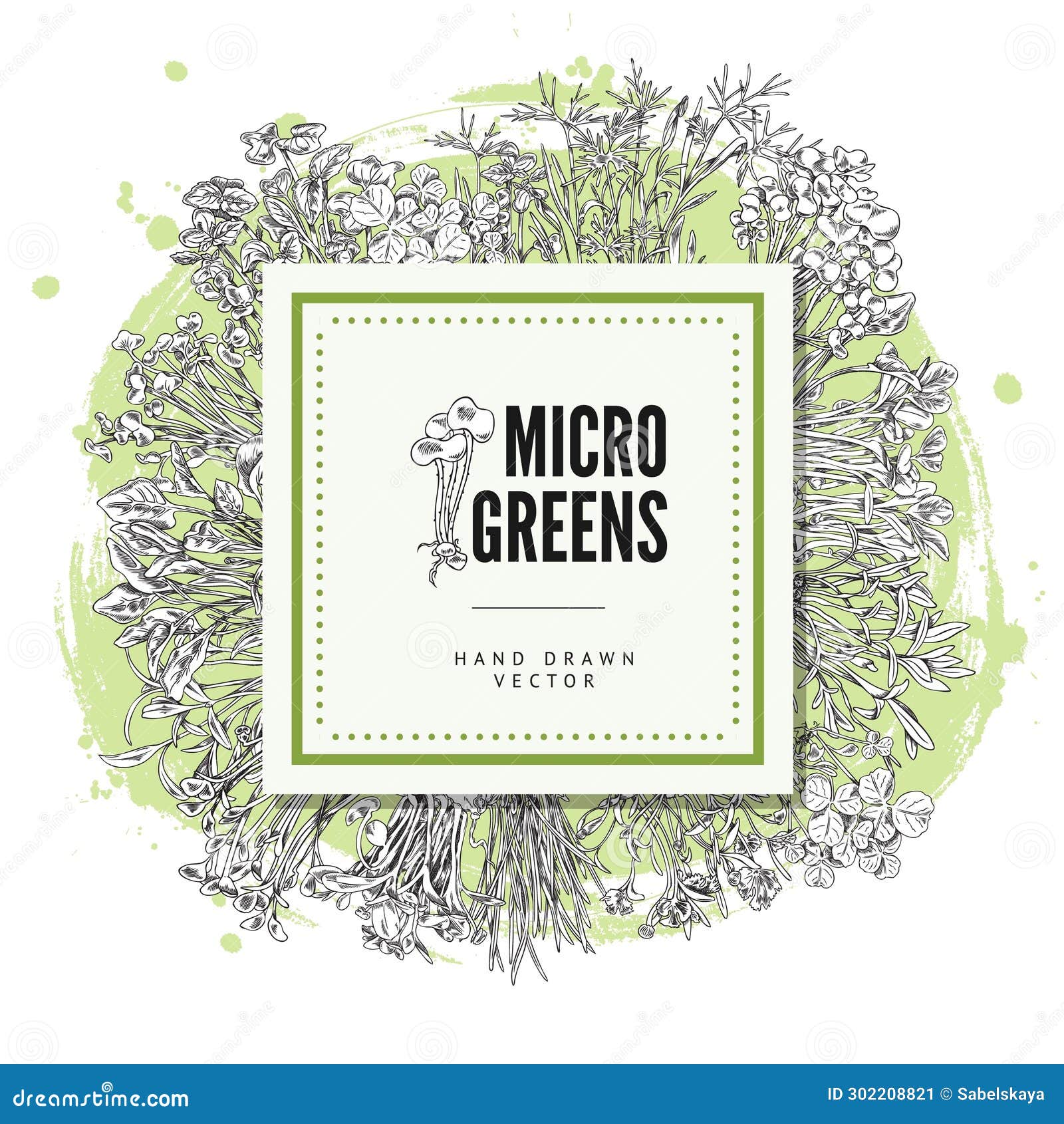 Various Microgreens Sprouts Round Frame with Square Space for Text ...