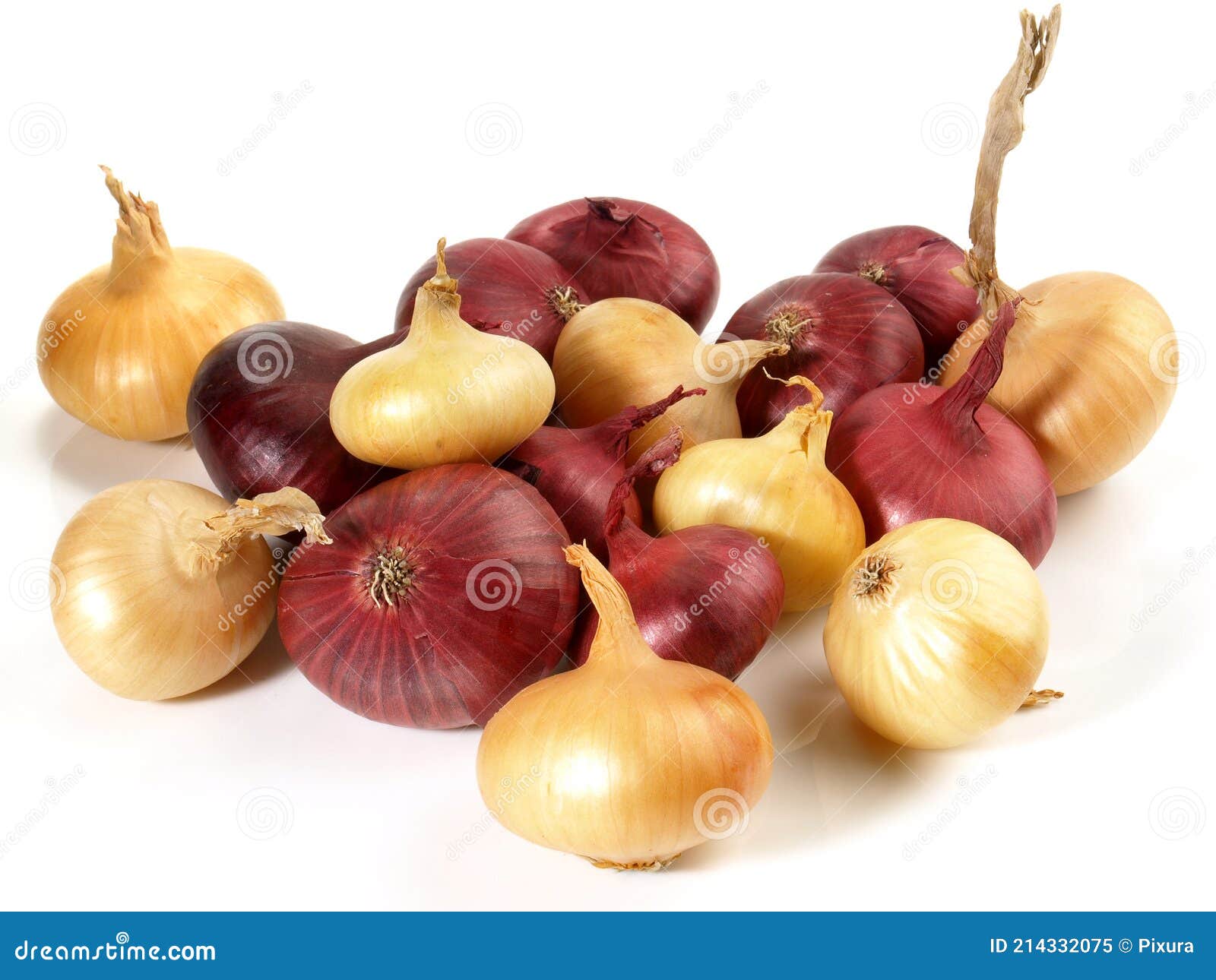 Various Mini Onions on White Background - Isolated Stock Image - Image ...