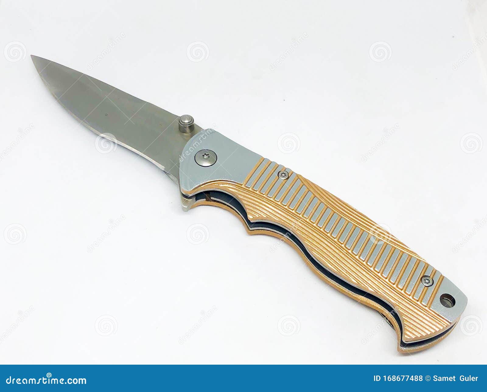 Various Models Pocket Knife. Stock Photo - Image of isolated, flat ...