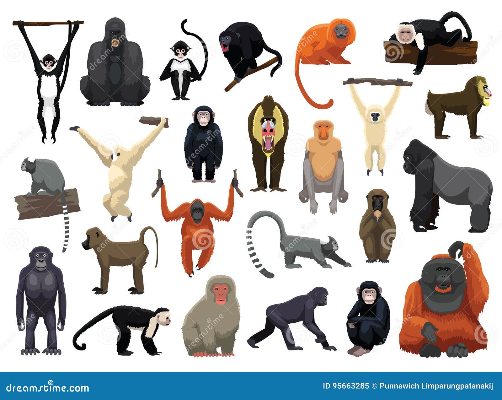 Various Monkey Poses Vector Illustration Stock Vector - Illustration of ...