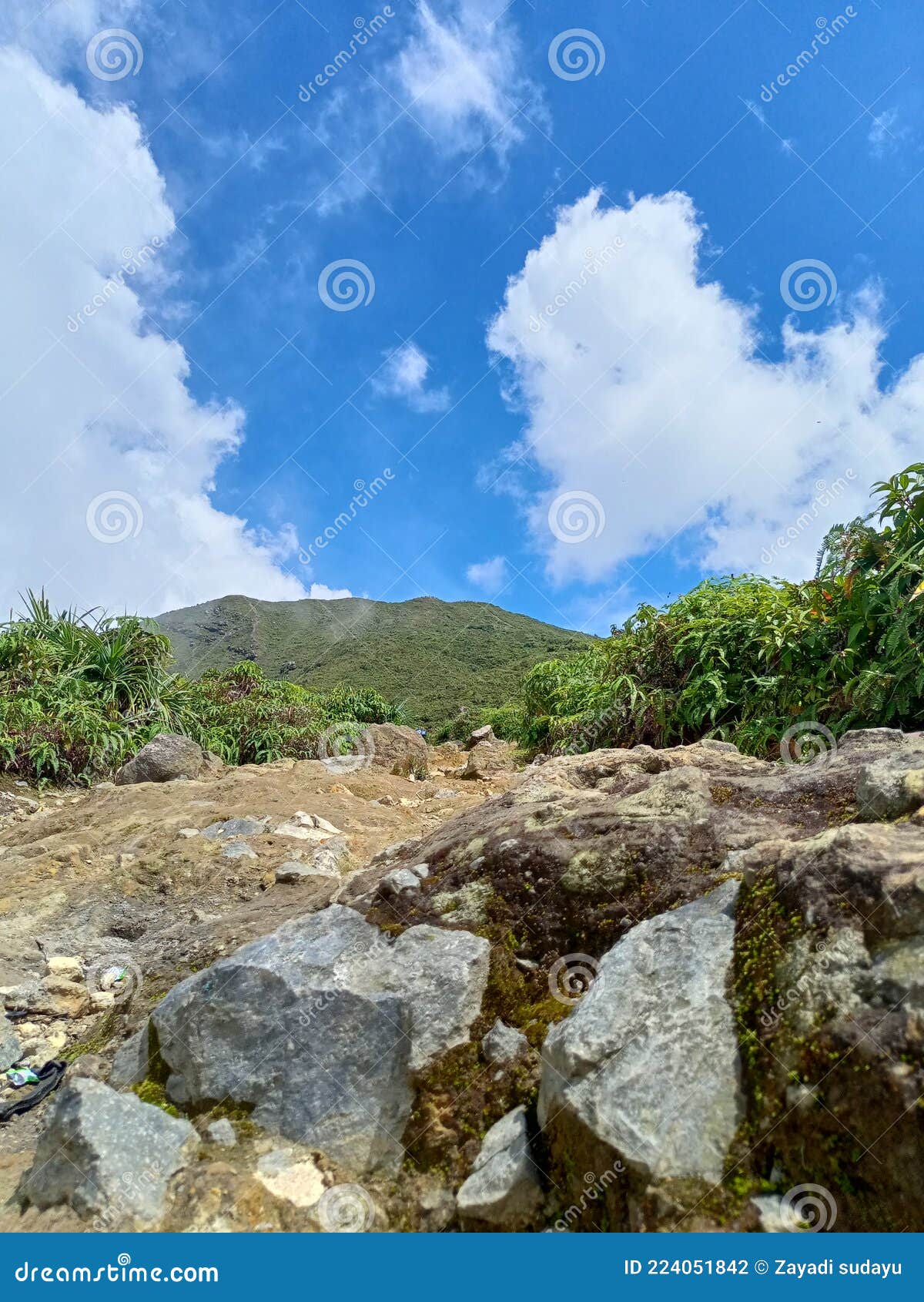 Various Mountain Top Vegetation Stock Photo - Image of landscape, rock ...