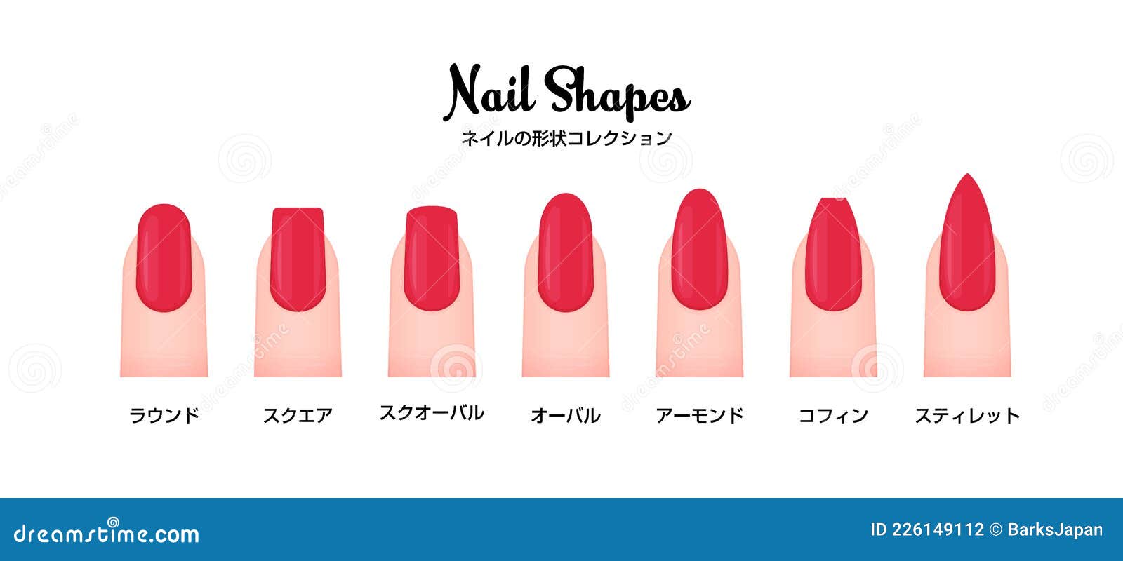 Various Nail Shapes Vector Illustration Set Stock Vector - Illustration ...