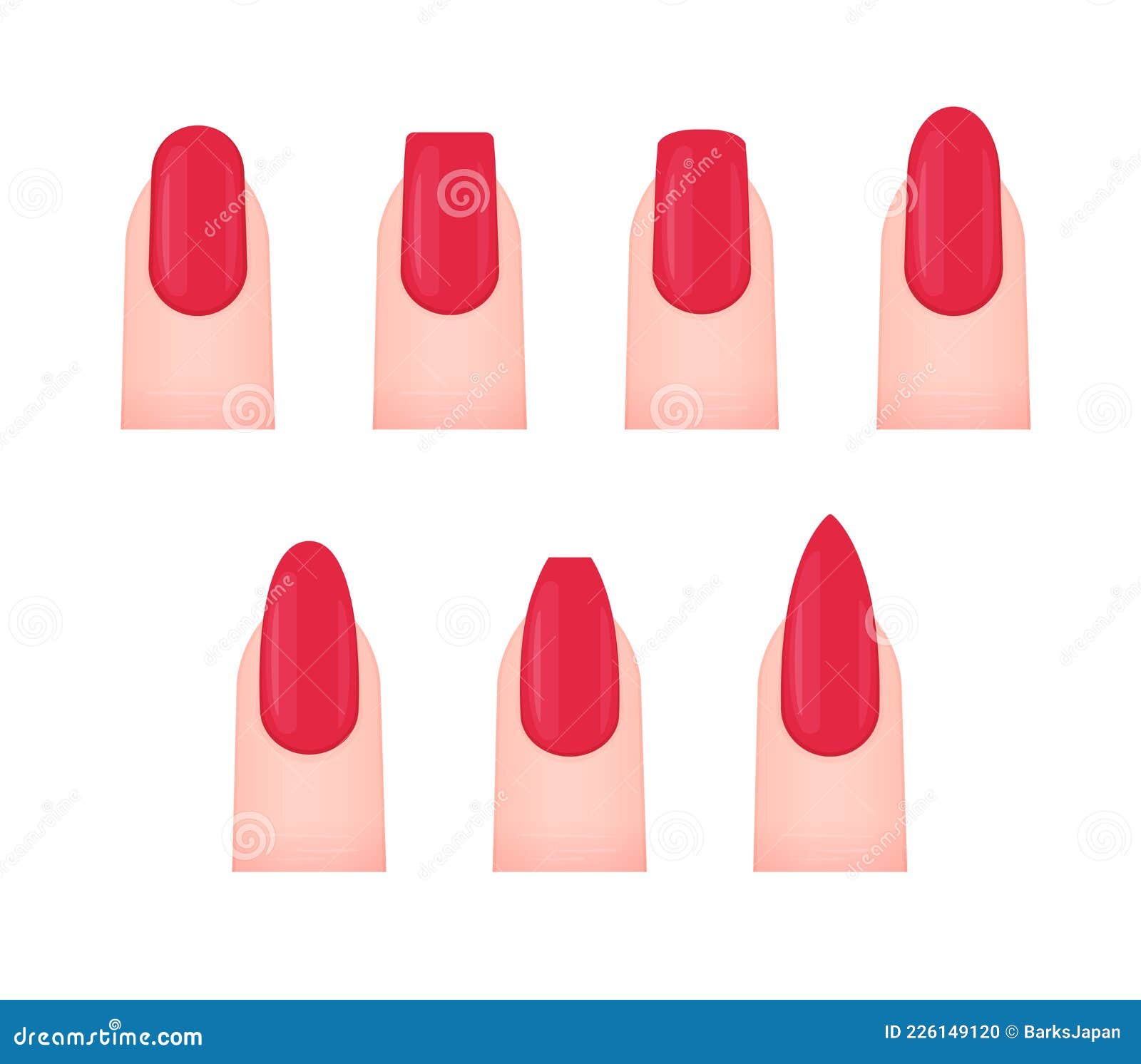 Various Nail Shapes Vector Illustration Set | CartoonDealer.com #226149120