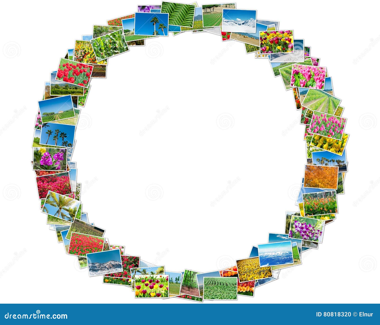 The Various Nature Photos Arranged in Round Frame Stock Photo - Image ...
