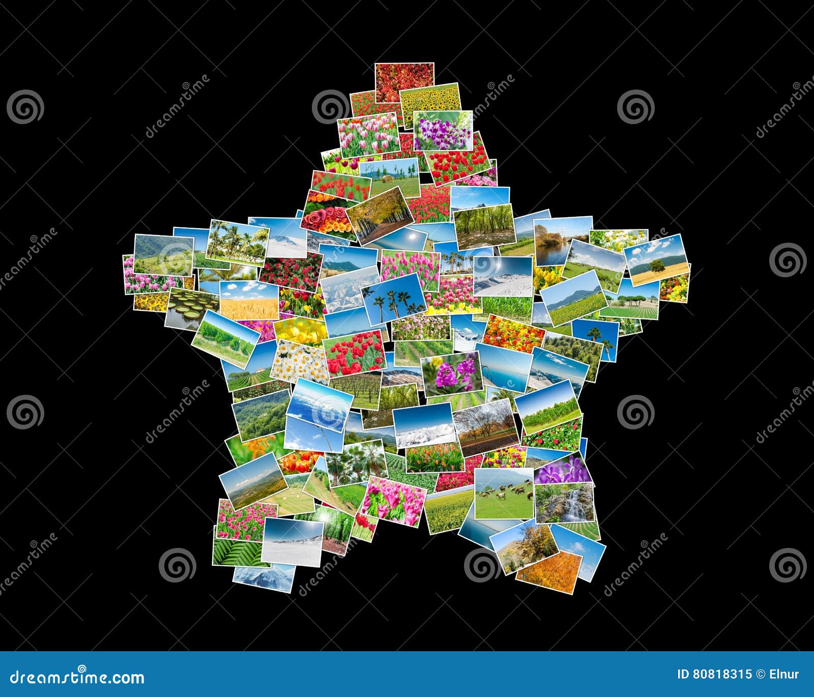 The Various Nature Photos Arranged in Star Shape Stock Image - Image of ...