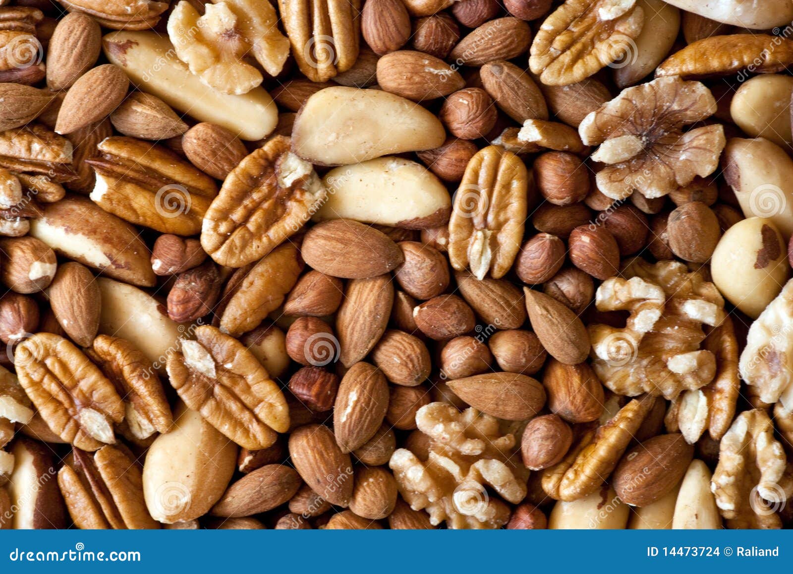 Various nuts stock photo. Image of brazil, linolenic - 14473724