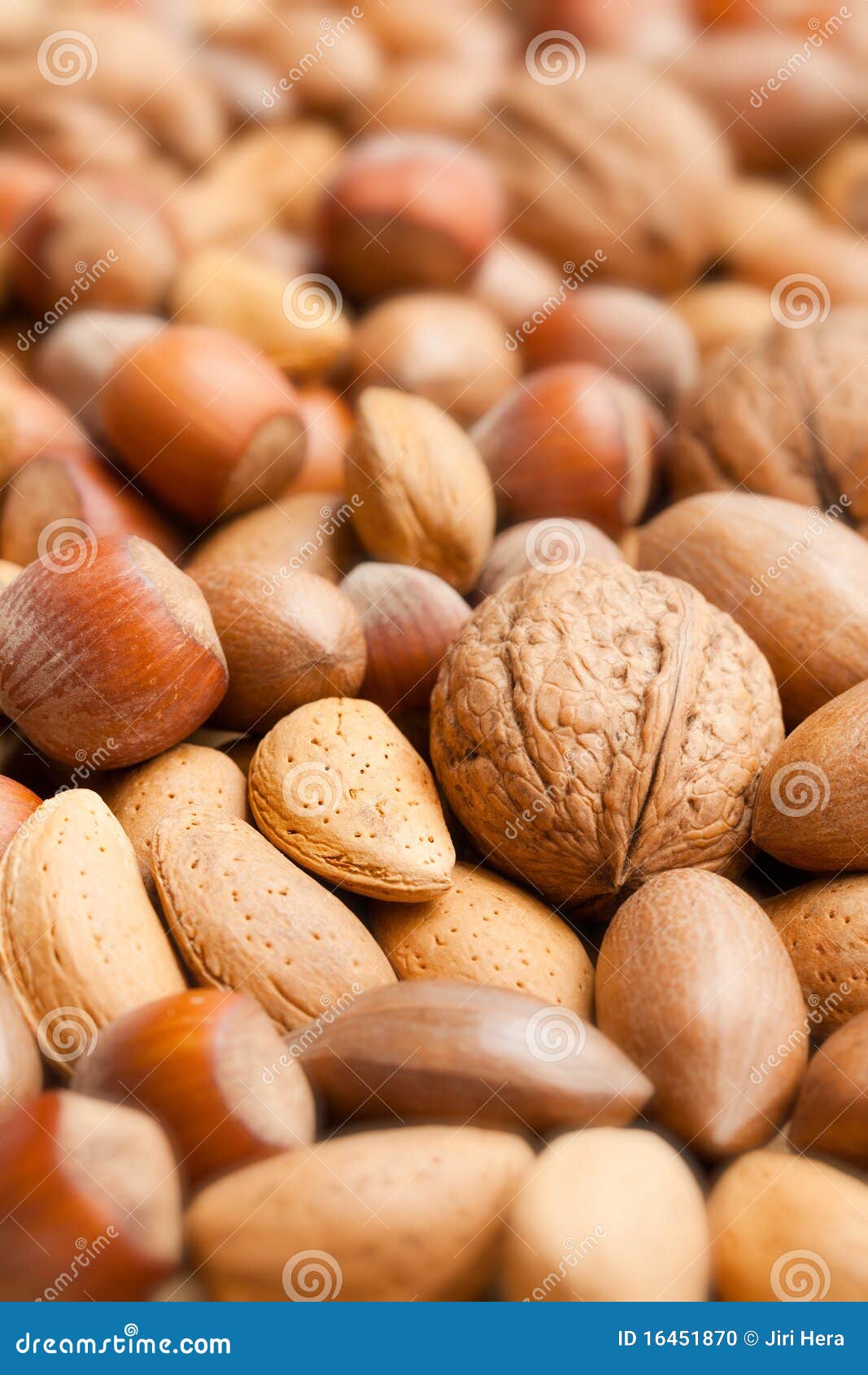 Various nuts stock photo. Image of filberts, healthy - 16451870