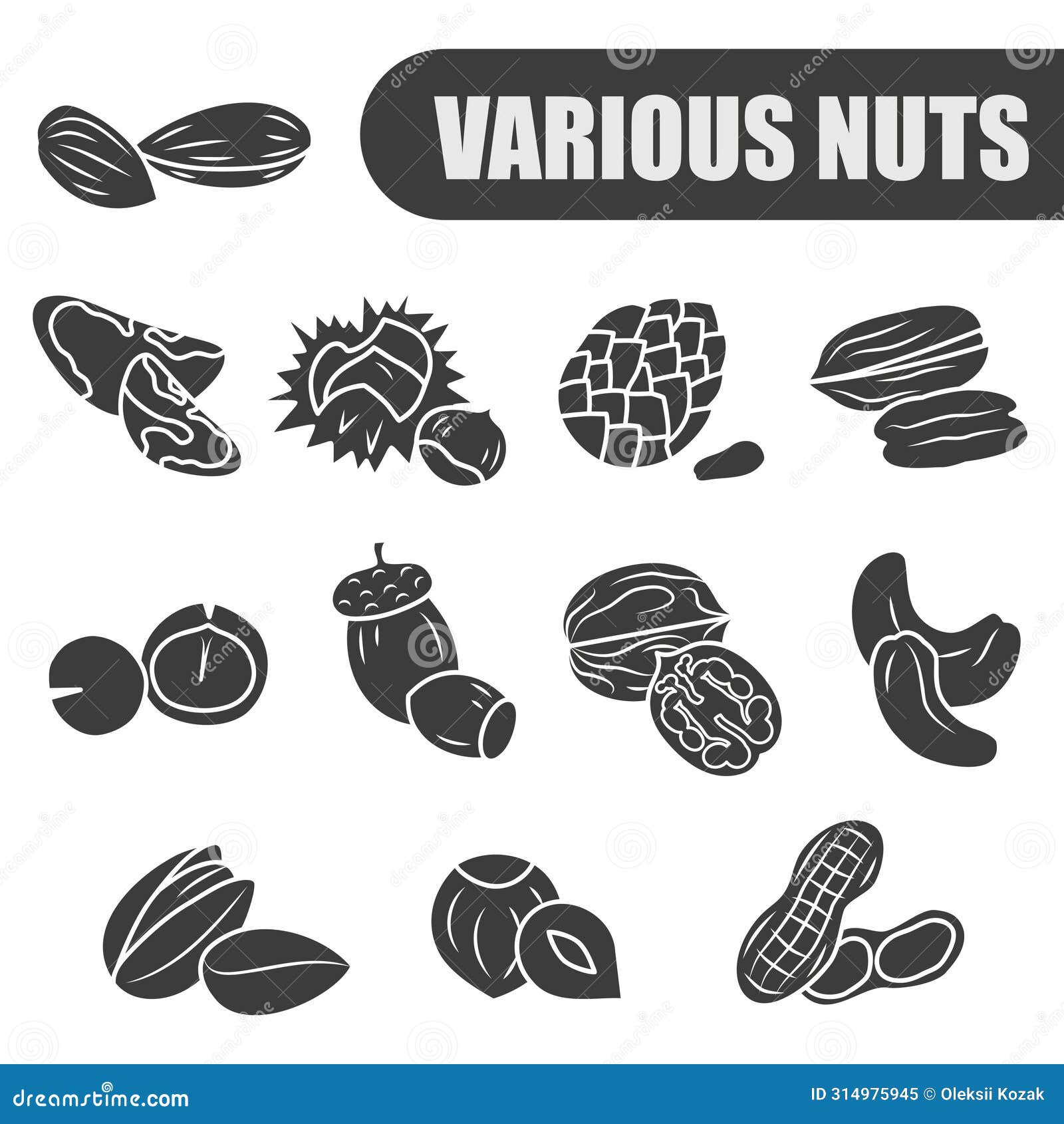 Various Nuts. a Collection of Different Dark Nuts Stock Vector ...