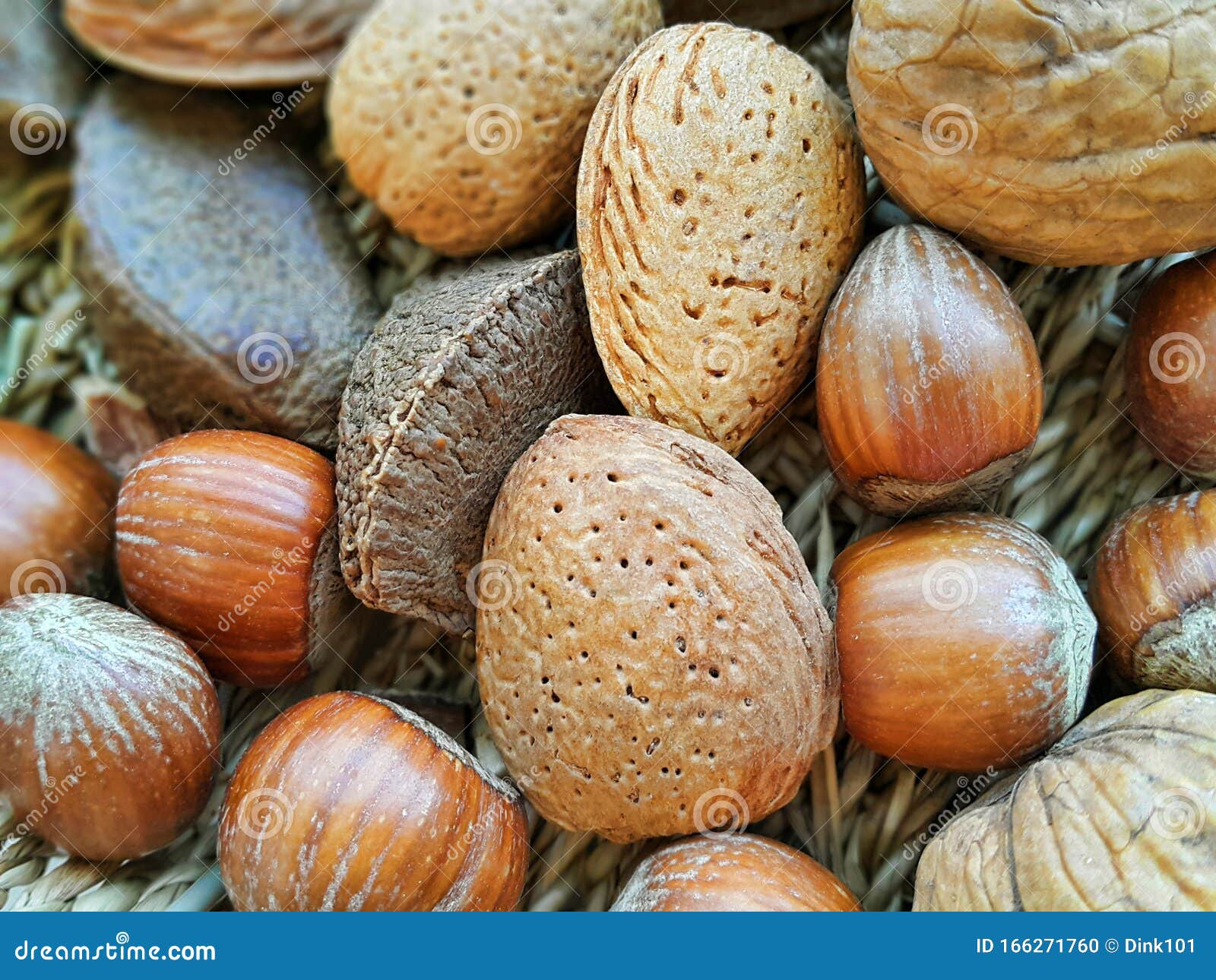 Various nuts in the shell stock photo. Image of macro - 166271760