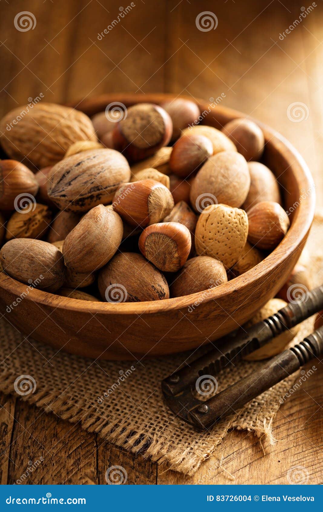 Various nuts in shell stock photo. Image of nuts, chestnut - 83726004