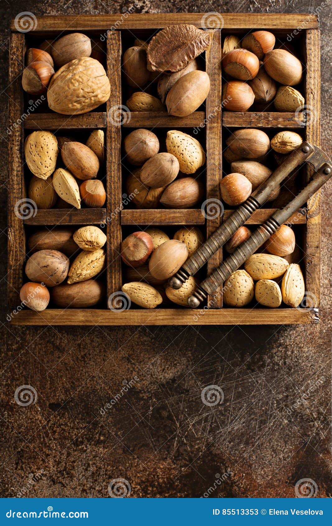 Various nuts in shell stock image. Image of nutshell - 85513353
