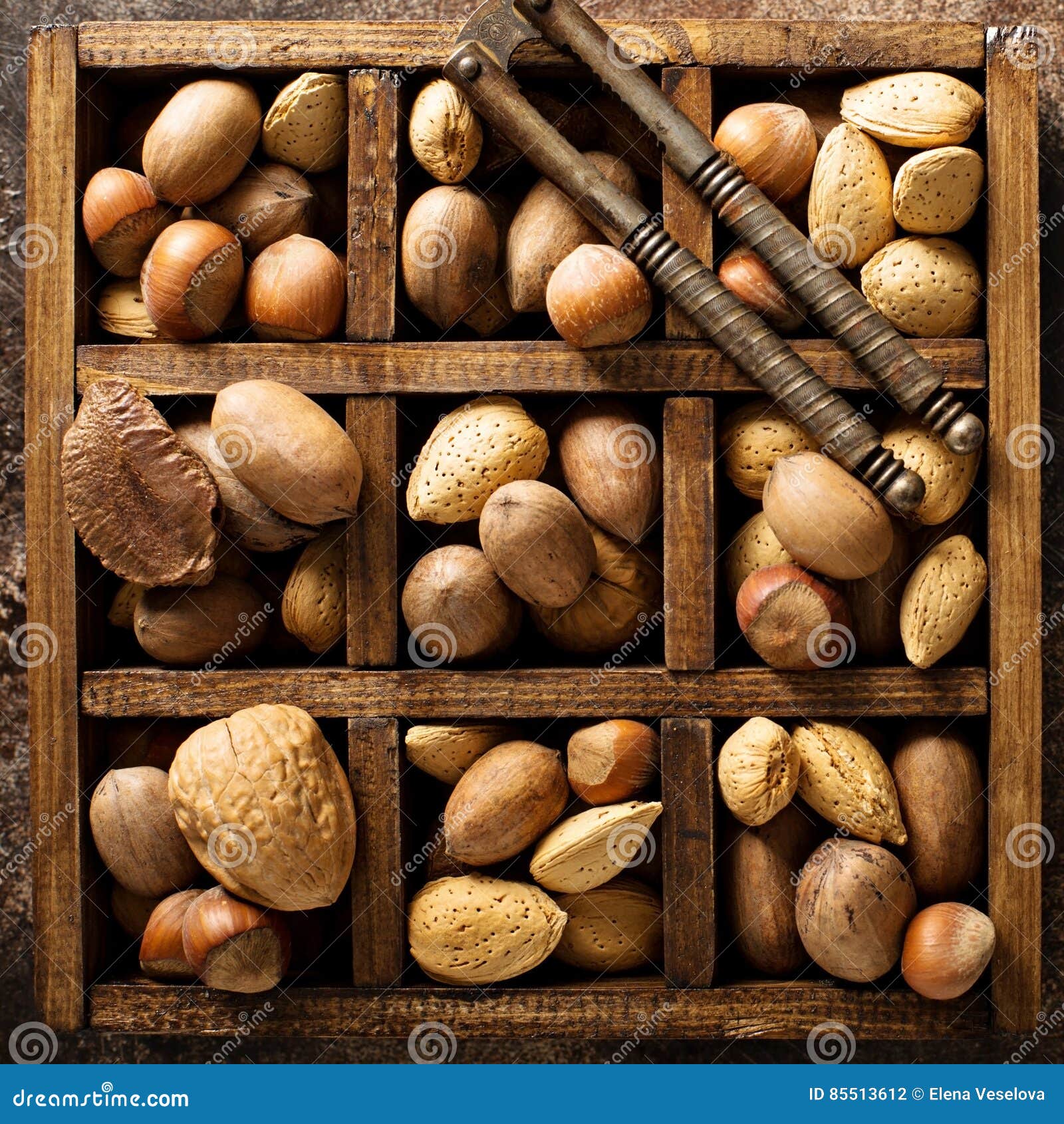 Various nuts in shell stock photo. Image of nature, pecan - 85513612