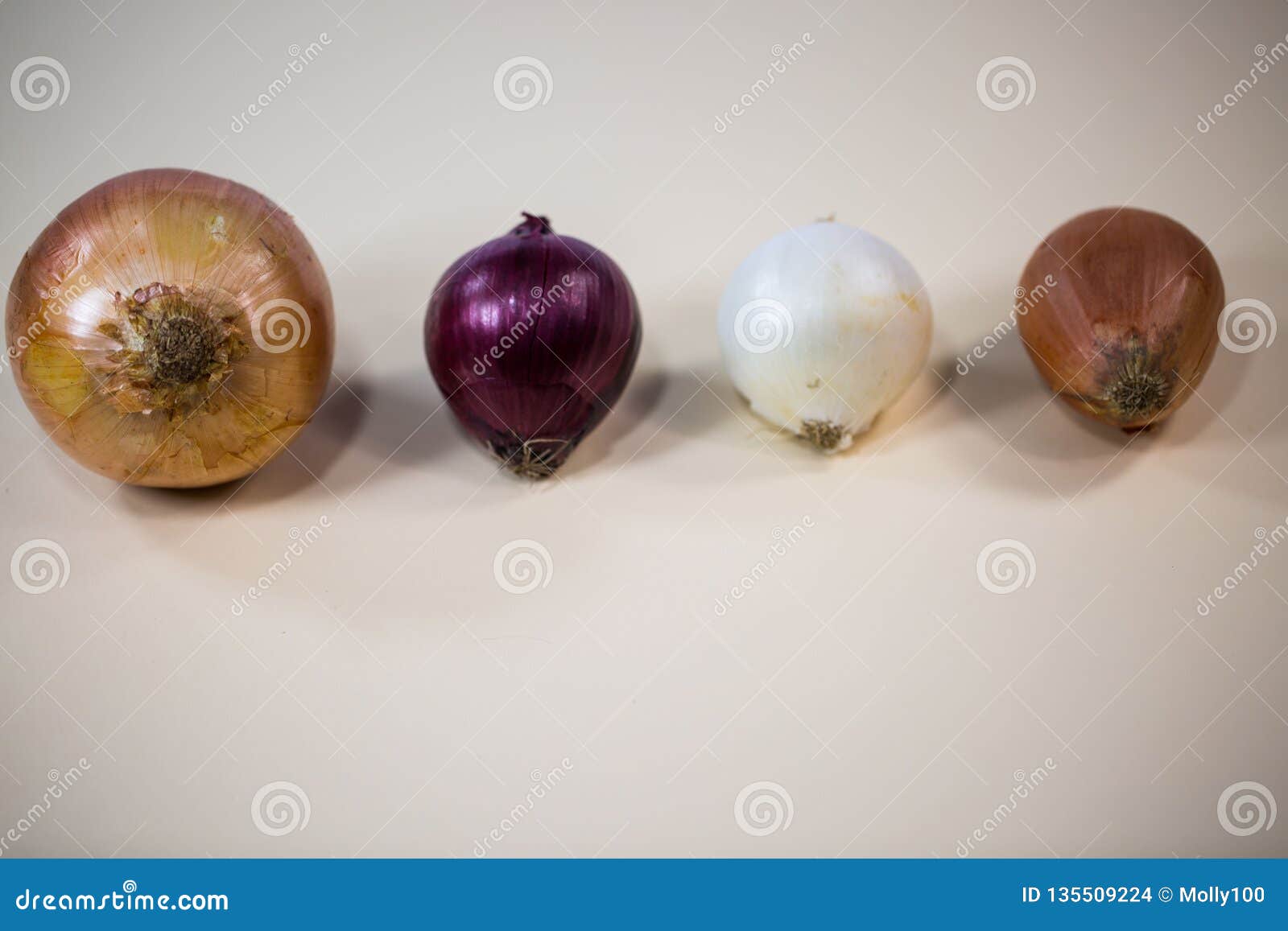Various Onions, Onion, Blue Onion, White Onion, Household Onion Stock ...