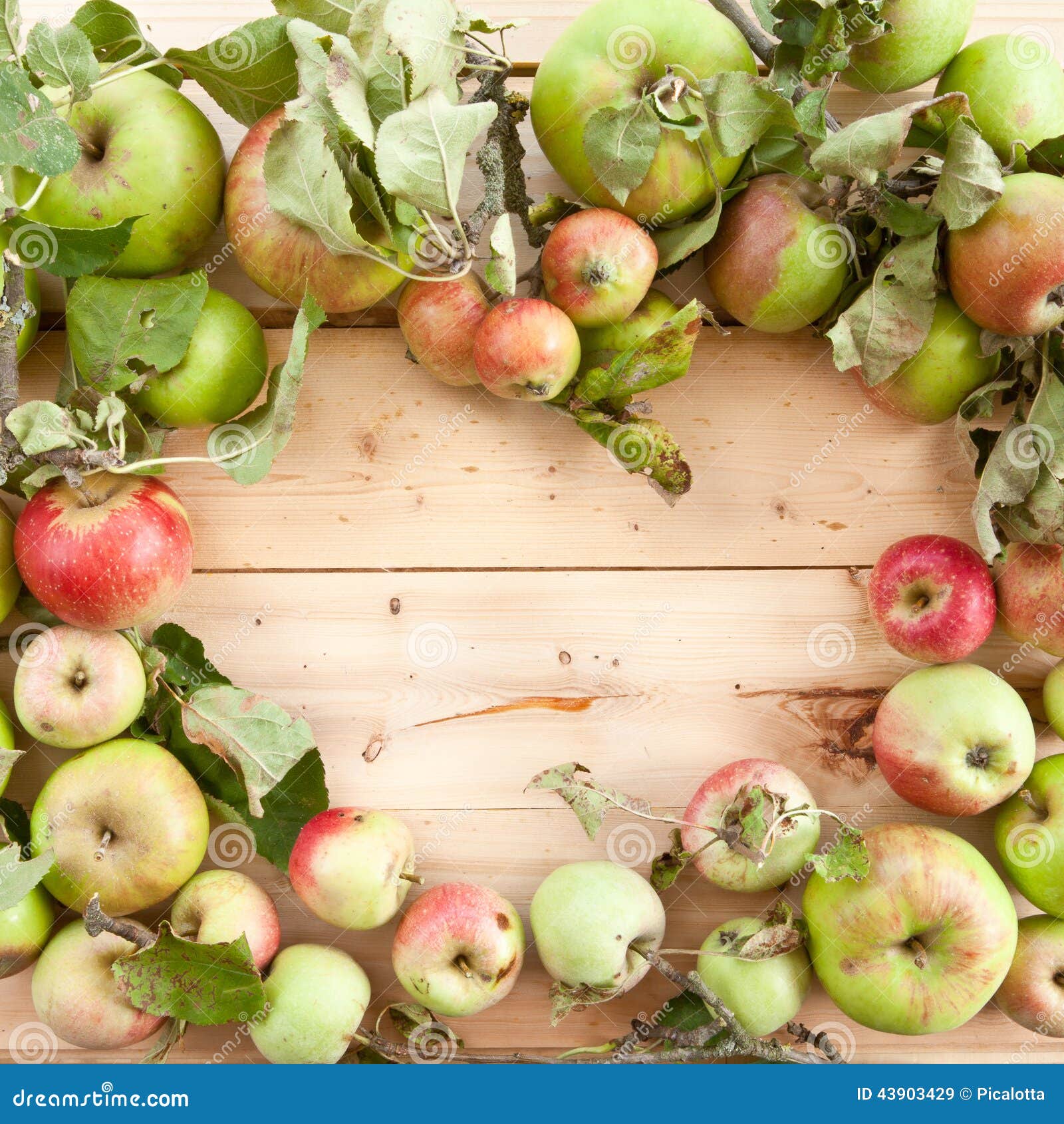 Various organic apples stock image. Image of heartshaped - 43903429