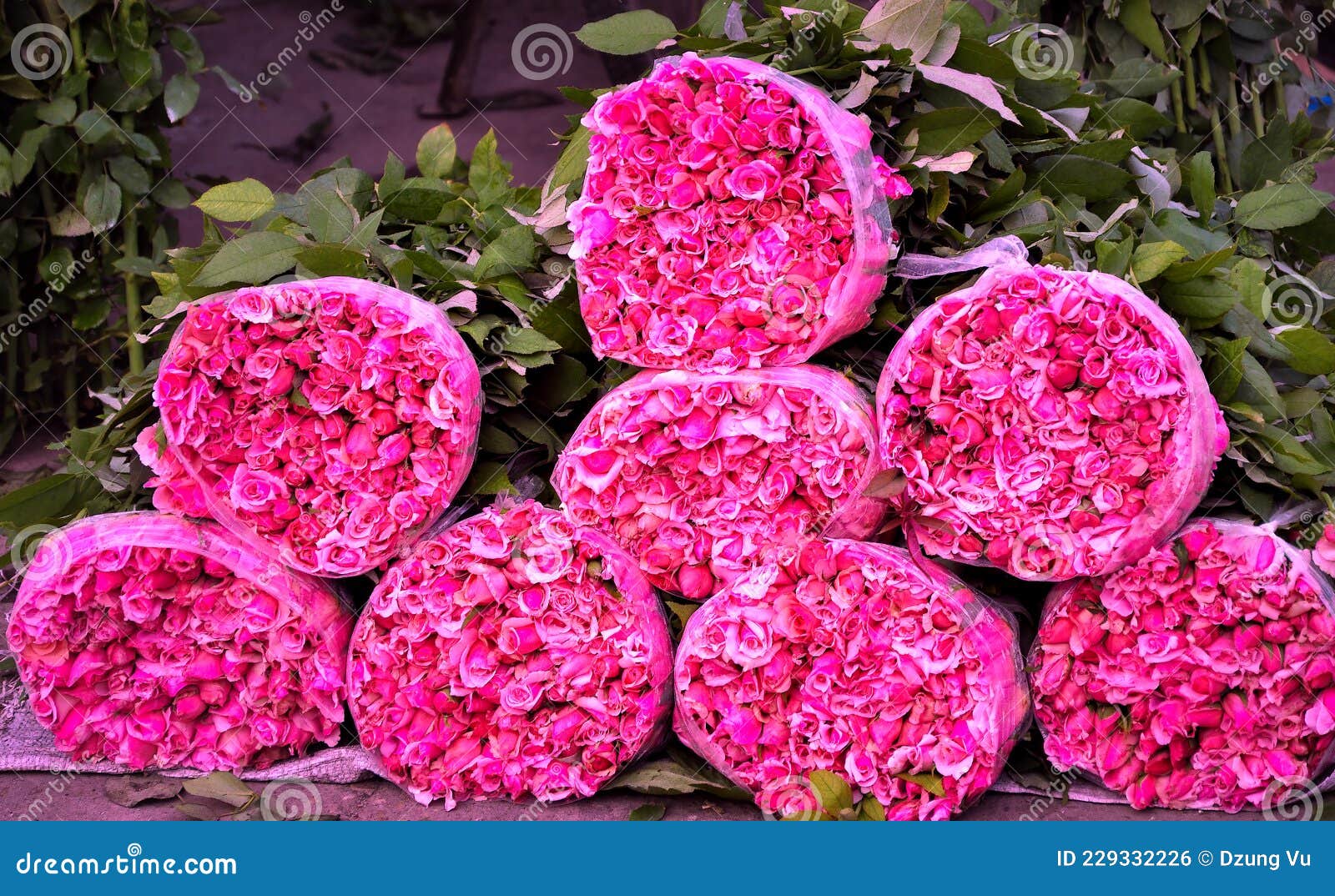 Various Pink Rose Flower in Flower Shop Stock Photo - Image of ...
