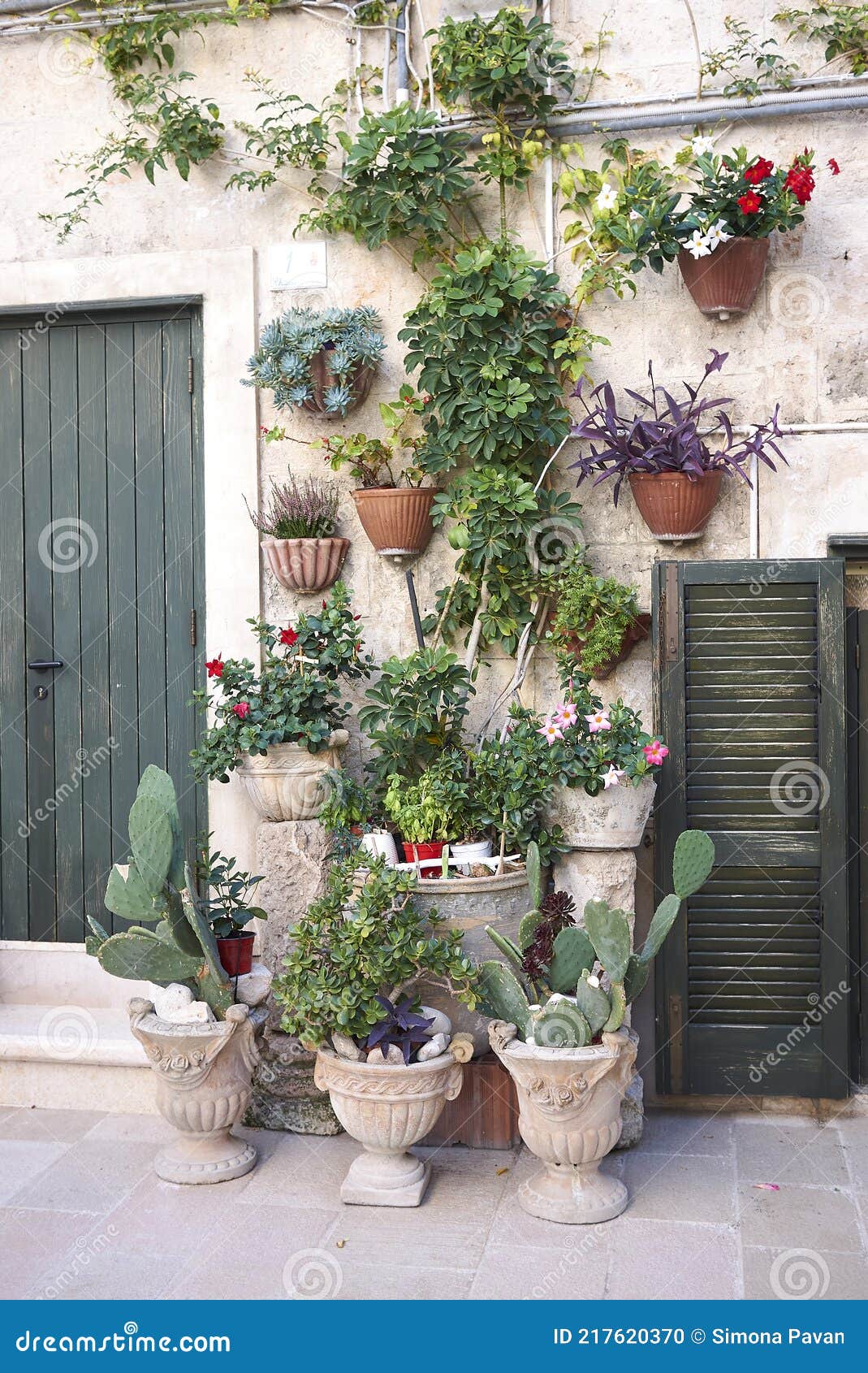 Various Plants in a Courtyard Stock Photo - Image of colorful, plants ...