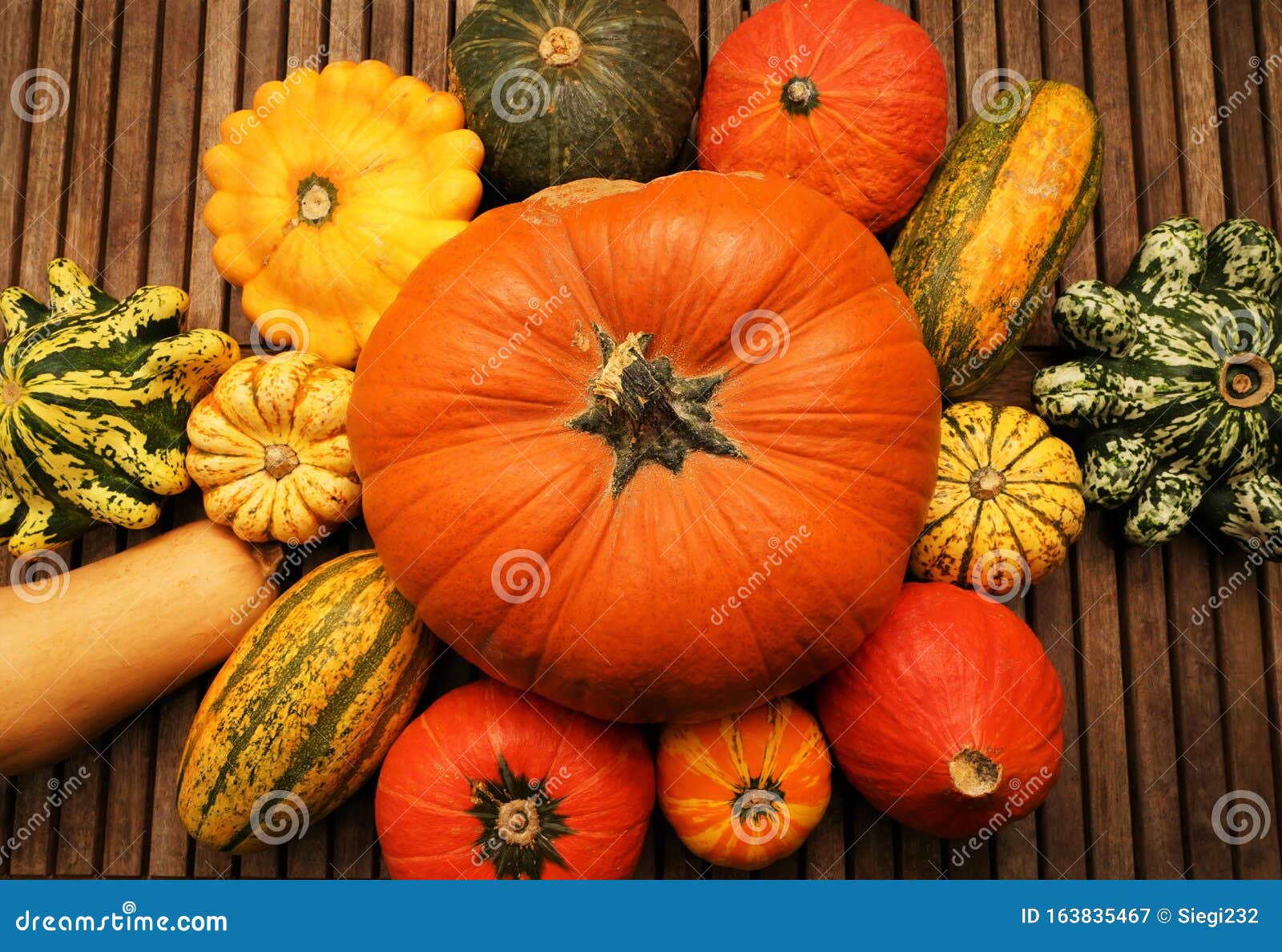 Various rare pumpkins stock image. Image of colourful - 163835467