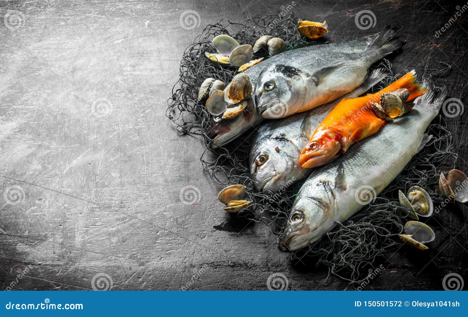 Various Raw Fish on Fishing Net with Oysters Stock Photo - Image of ...