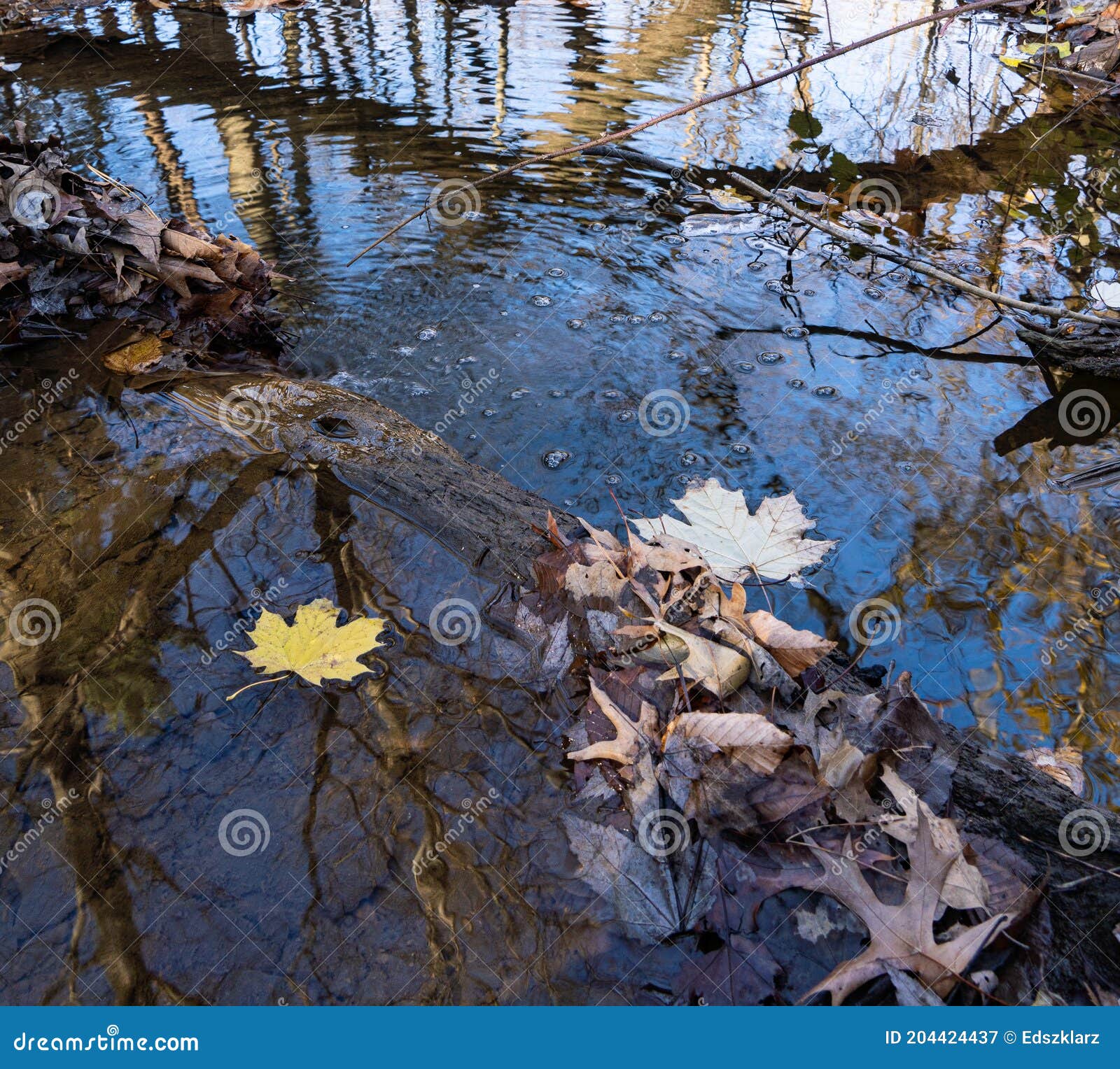 Closer Perusal Stock Photos - Free & Royalty-Free Stock Photos from ...