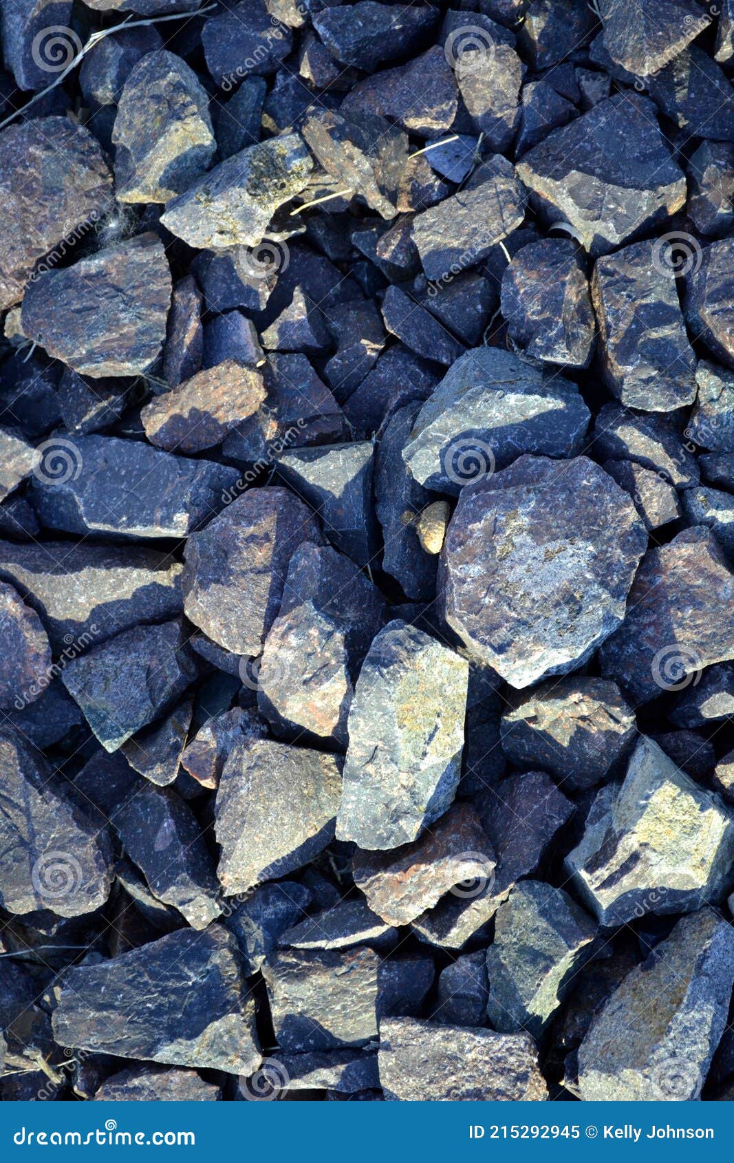 Various Rocks on the Ground Stock Image - Image of rock, group: 215292945