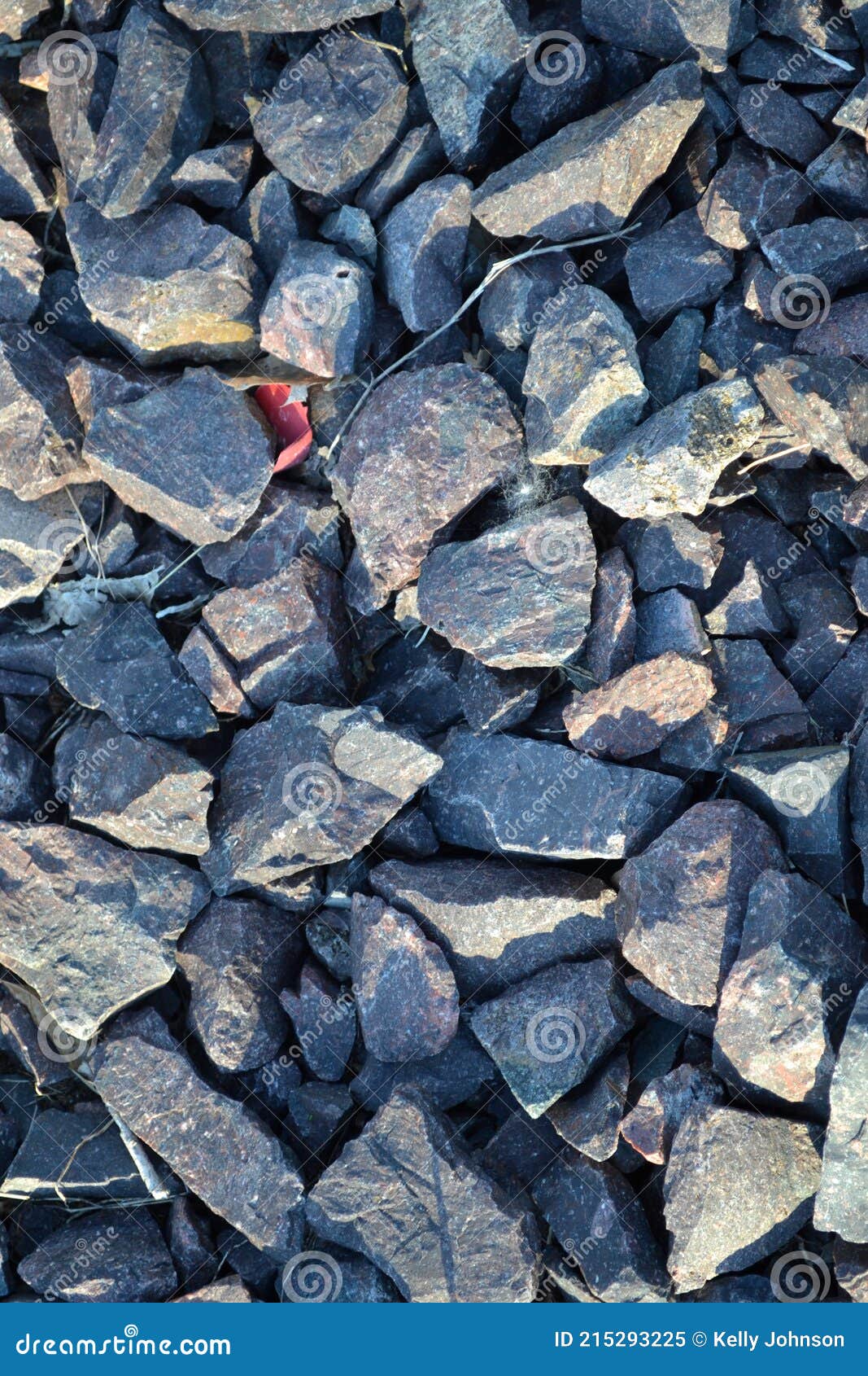 Various Rocks on the Ground Stock Image - Image of group, stone: 215293225