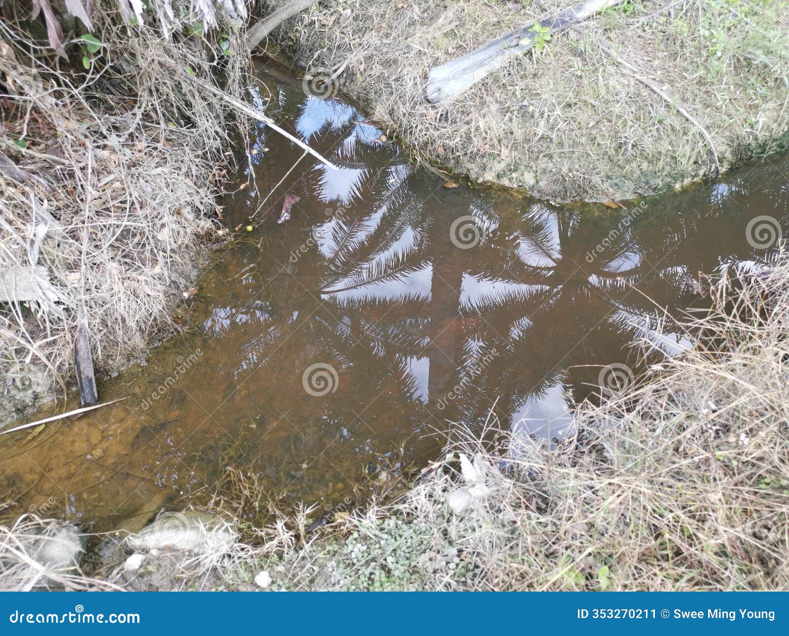 Various Scene of the Reflective Surface Puddle or Rural Drain at the ...