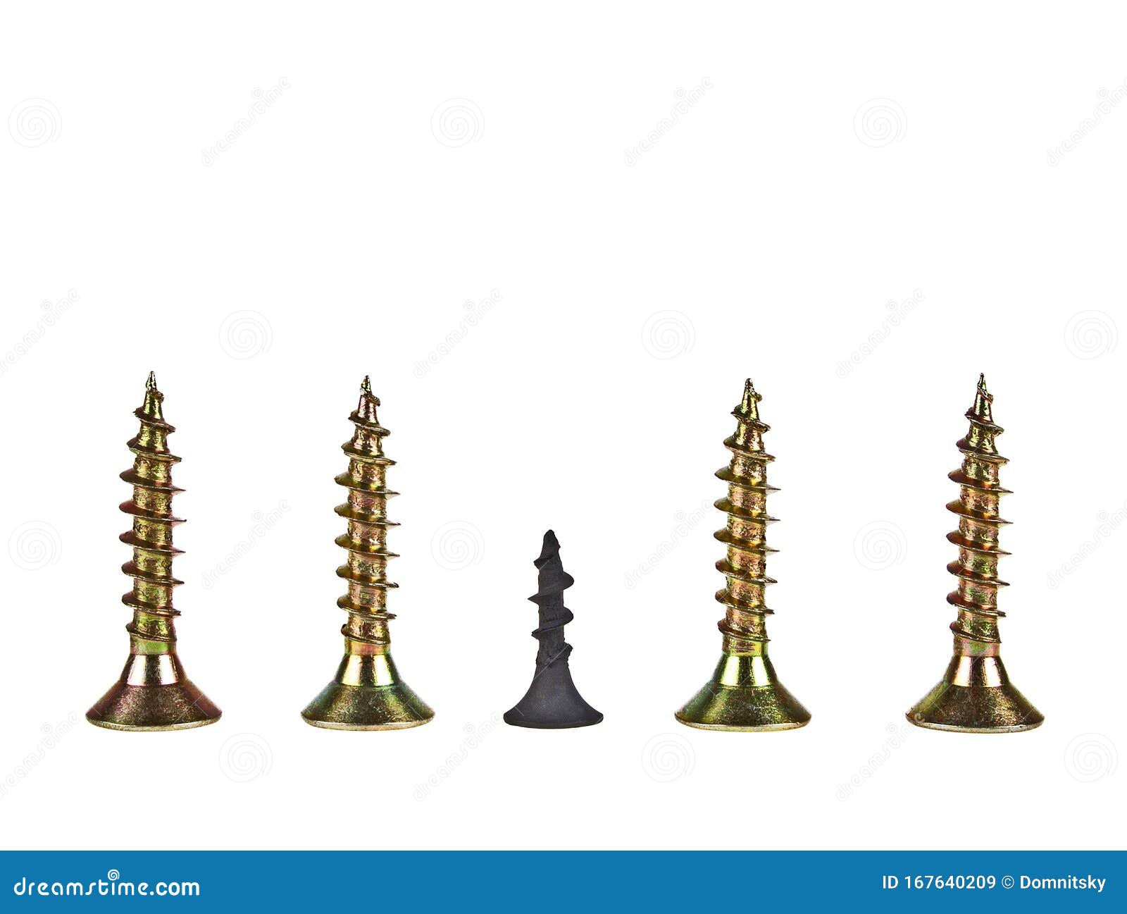 Various Screws on a White Background Stock Image - Image of metal ...