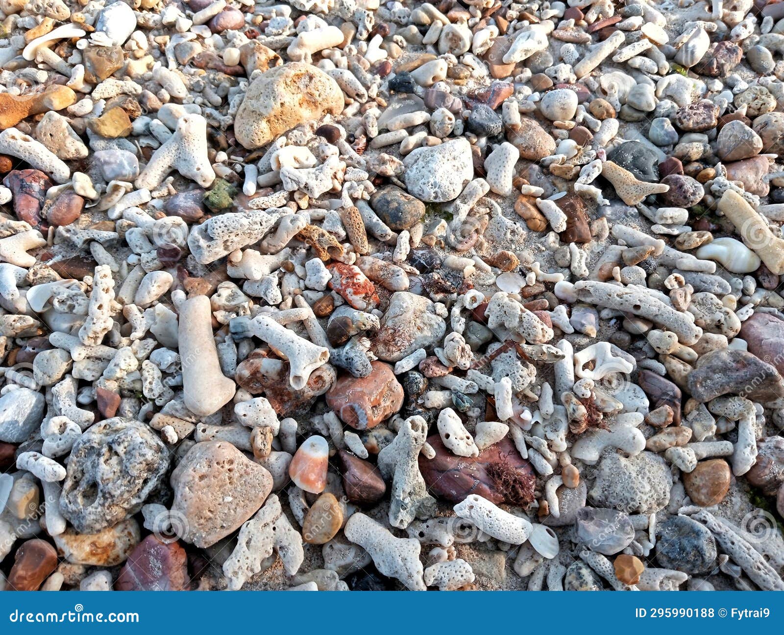 Various Sea Rocks Carried by the Waves Along the Beach Stock Photo ...