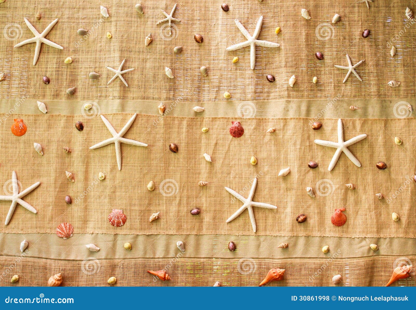 Various of Sea Shells on Fabric Stock Photo - Image of decorated ...