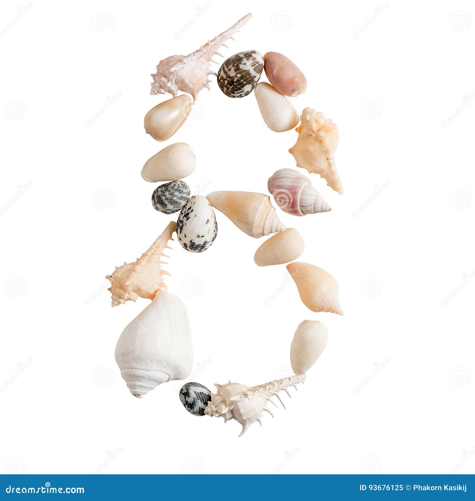 Various Sea Shells Number 8 on White Background Stock Image - Image of ...