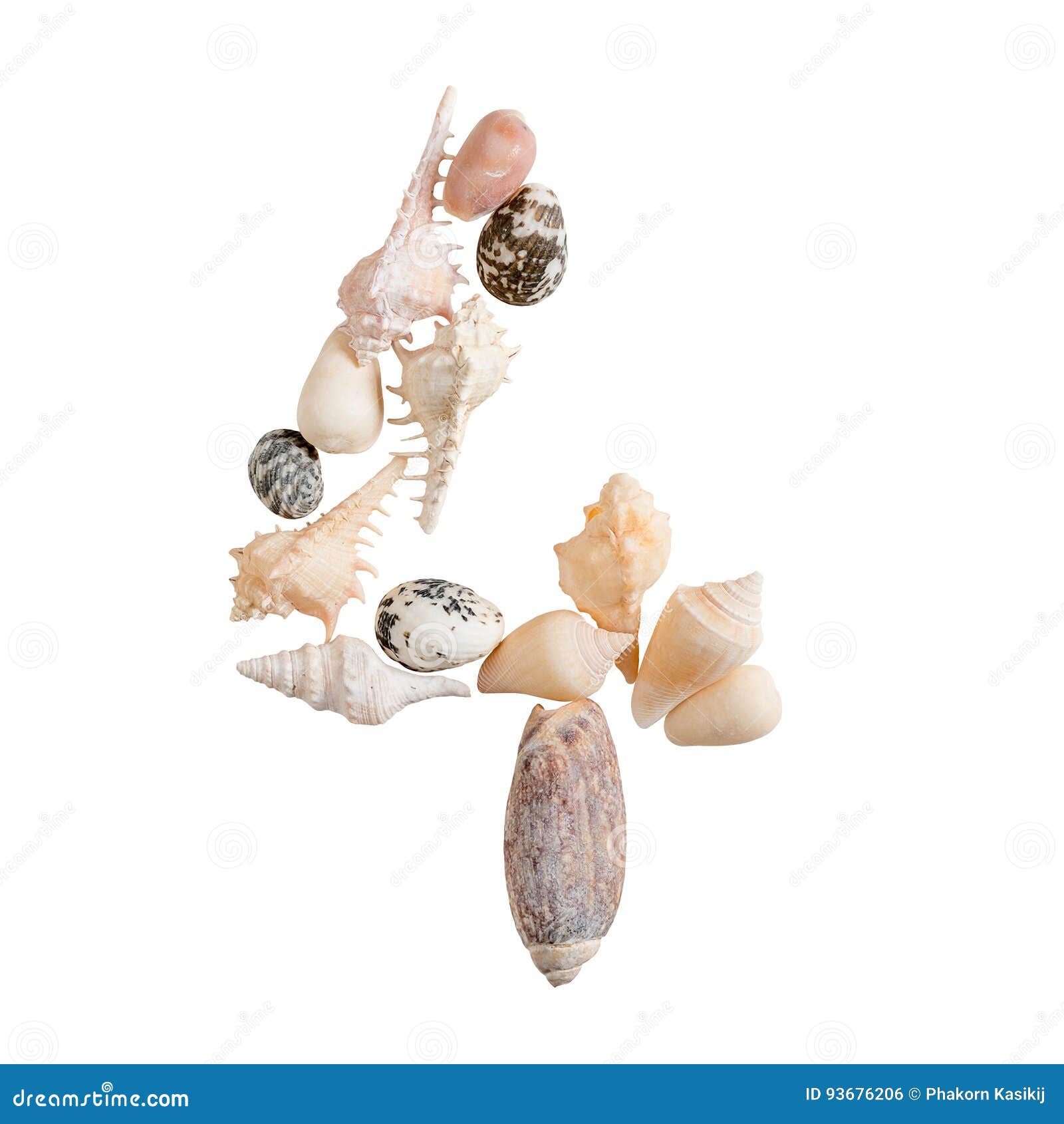 Various Sea Shells Number 4 on White Background Stock Photo - Image of ...
