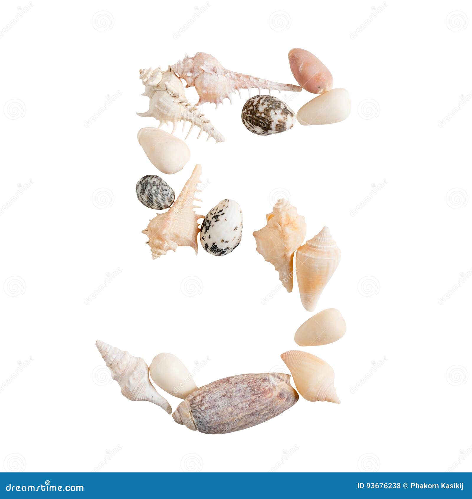 Various Sea Shells Number 5 on White Background Stock Photo - Image of ...
