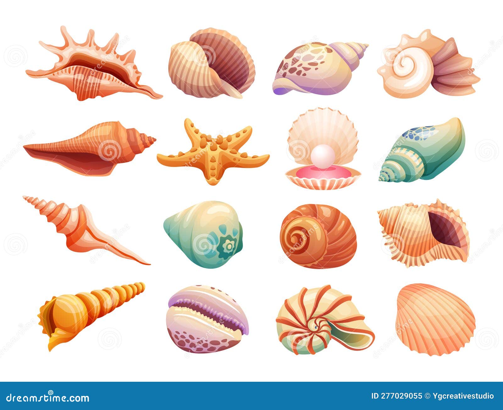 Various Seashells Illustration Stock Vector - Illustration of coast ...