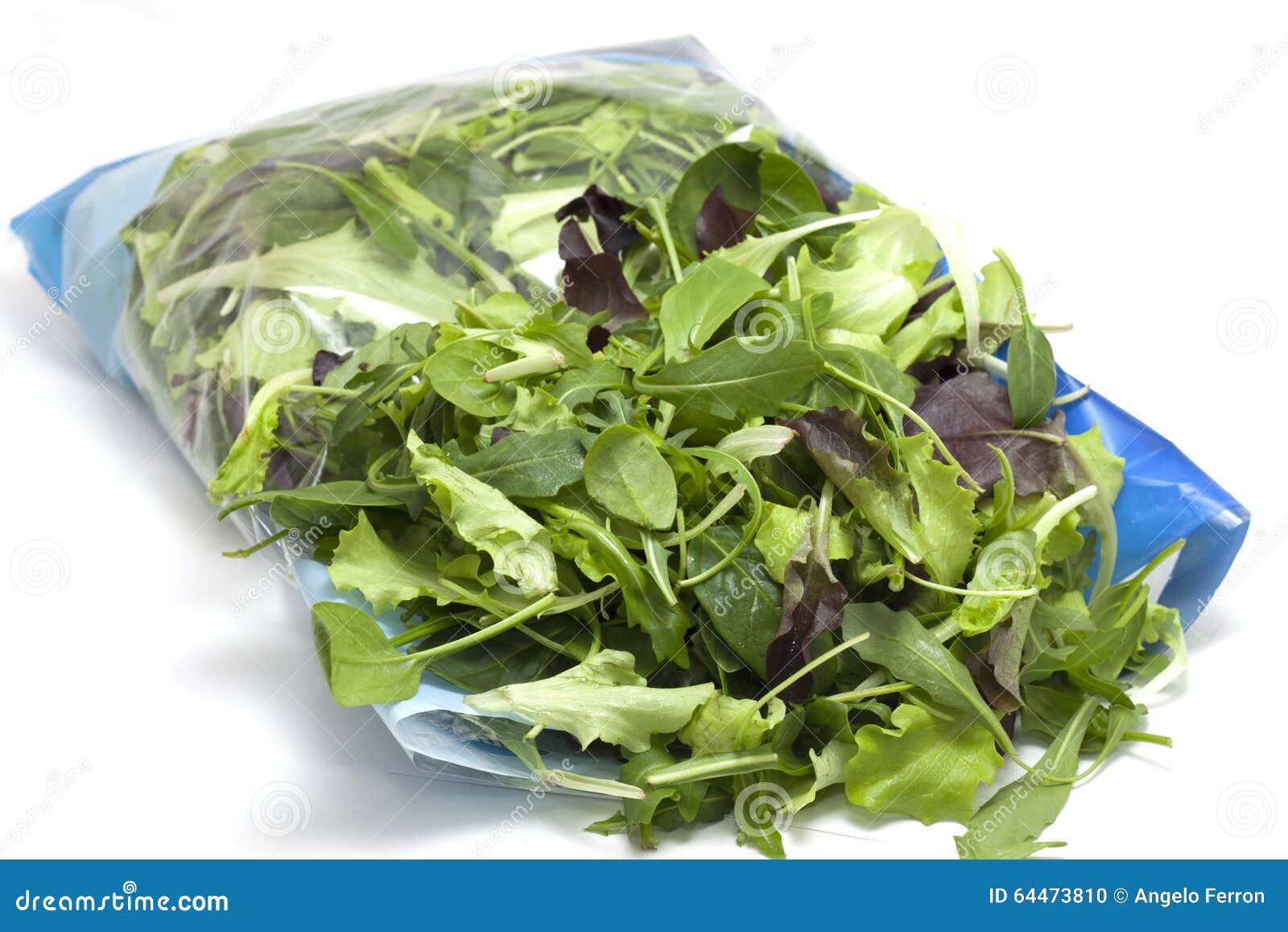 Various Seasonal Salad Packed Stock Photo - Image of meal, cooked: 64473810