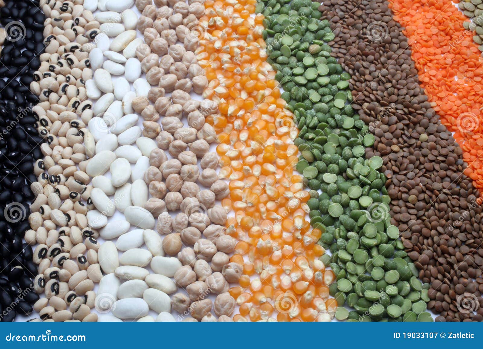 Various seeds and grains stock image. Image of mixed - 19033107