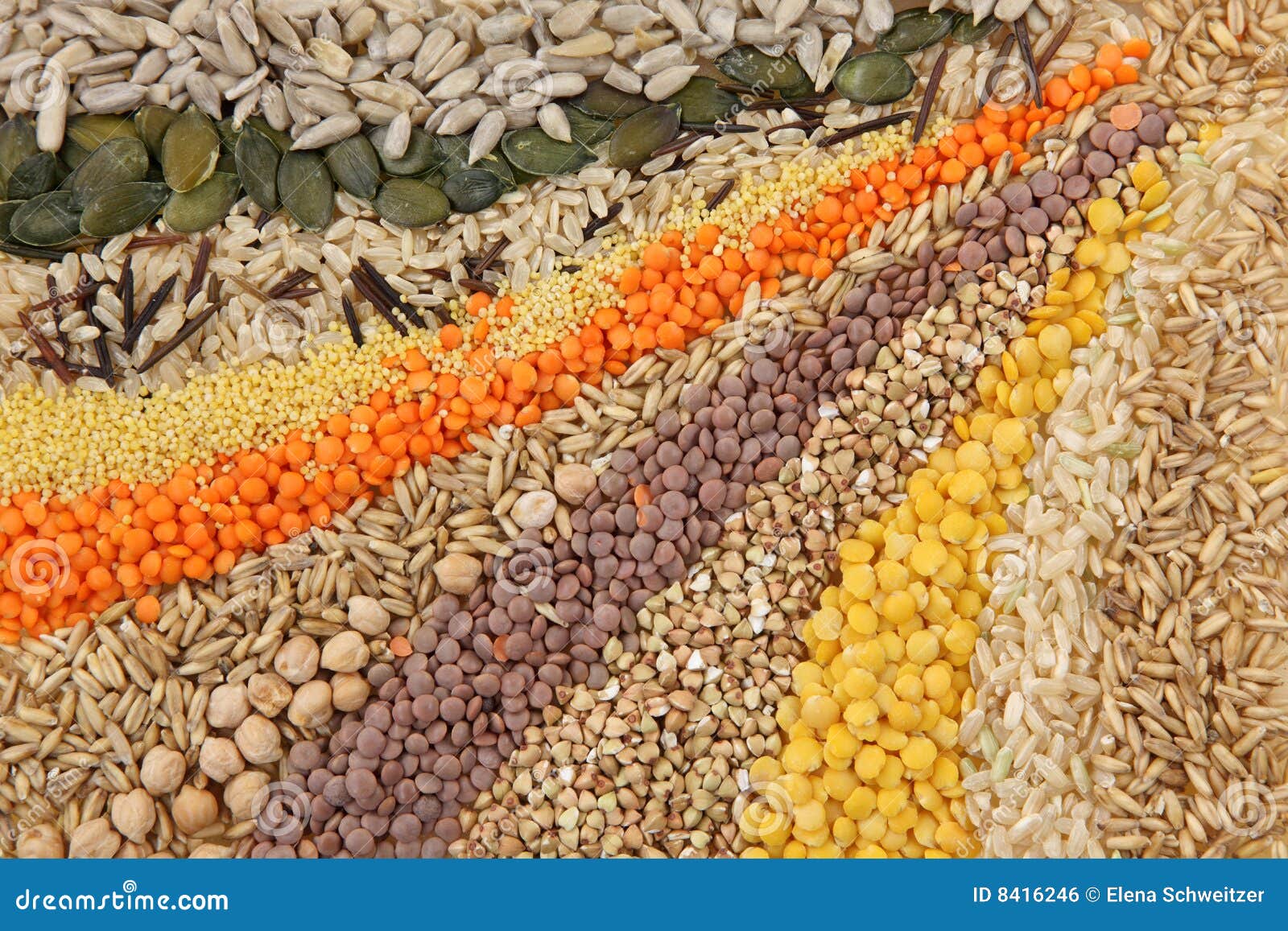 Various seeds and grains stock photo. Image of buckwheat - 8416246
