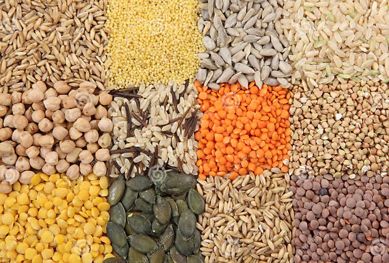 Various seeds and grains stock image. Image of natural - 8416445